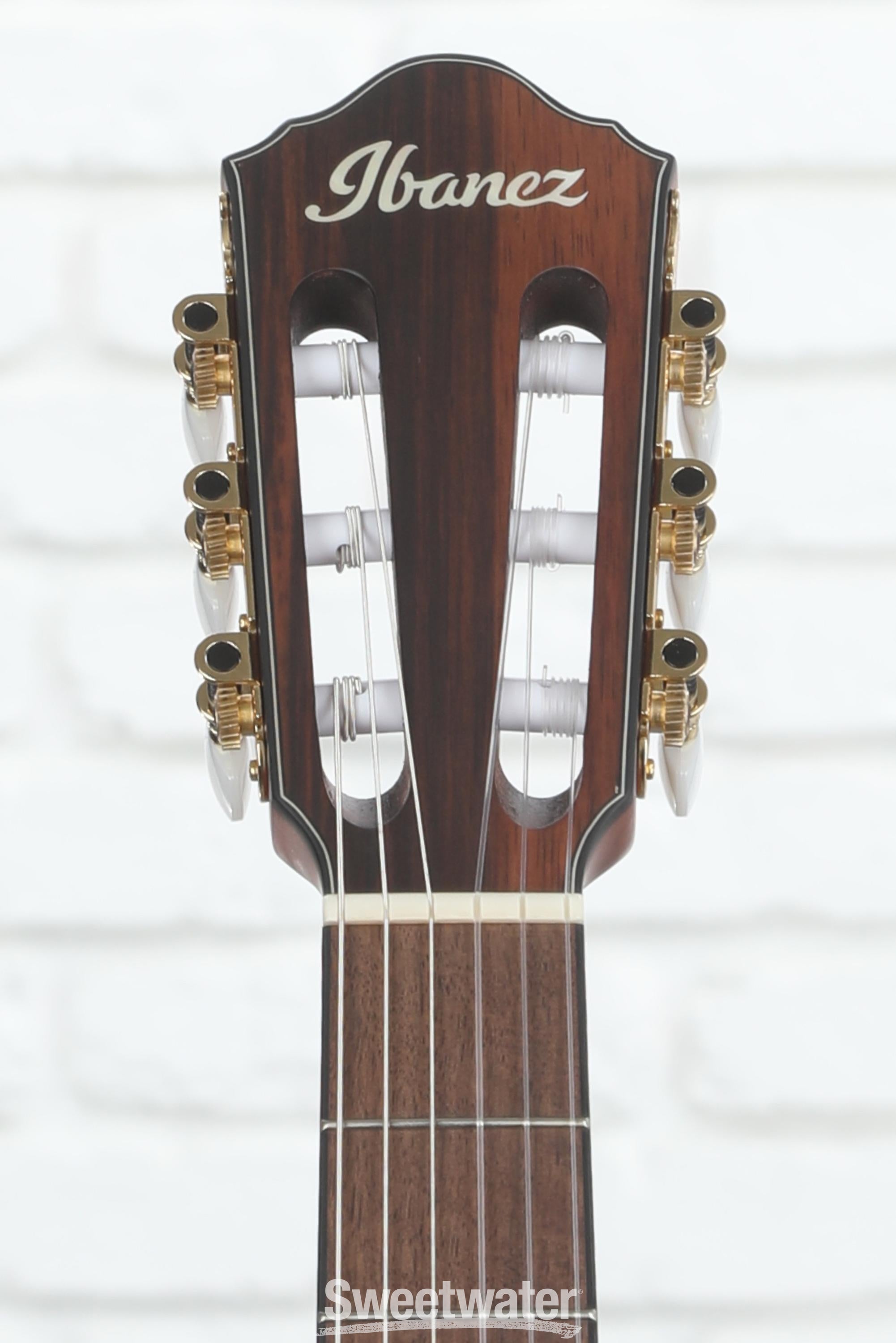 Ibanez FRH10N Thinline Nylon Acoustic-electric Guitar - Brown Sunburst ...