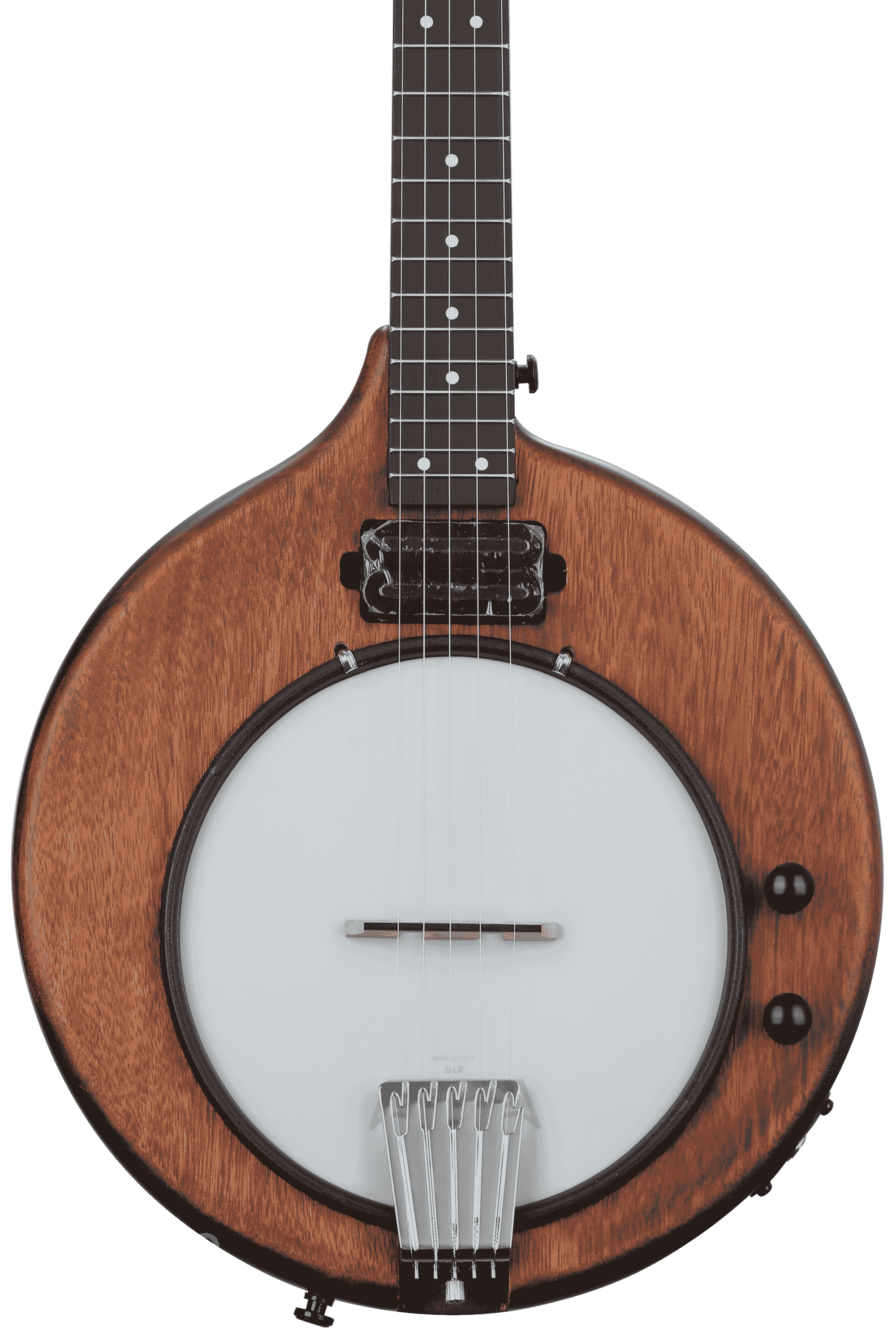 Gold Tone EB-5 5-string Electric Banjo - Natural | Sweetwater