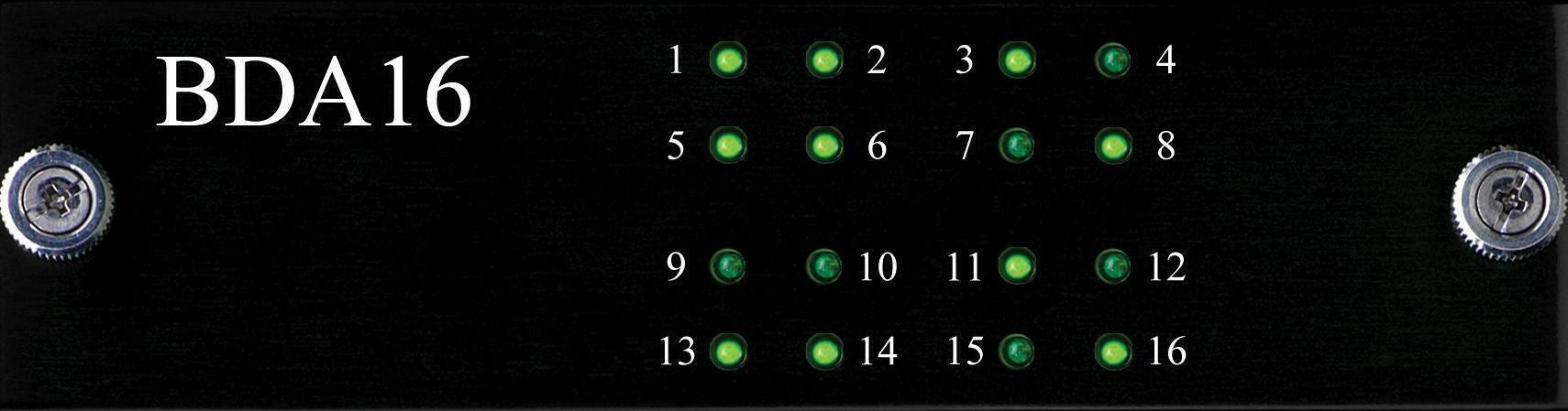 Burl Audio BDA16 16-channel DAC Card for B16 Mothership 3 | Sweetwater