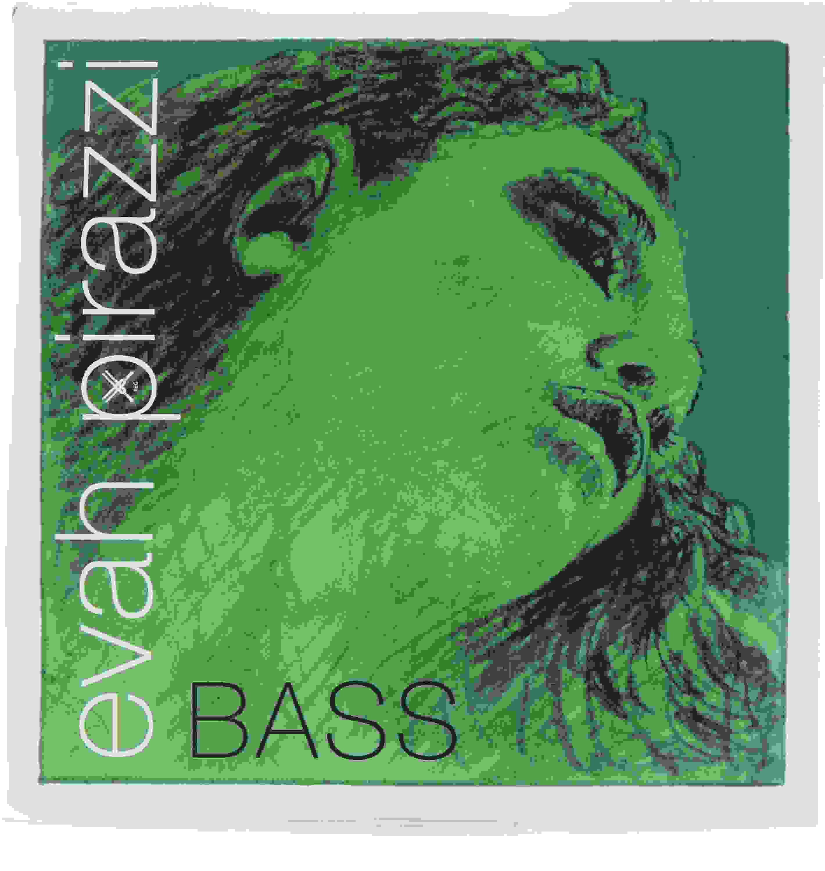 Pirastro Evah Pirazzi Double Bass E String - 3/4 Size | Sweetwater