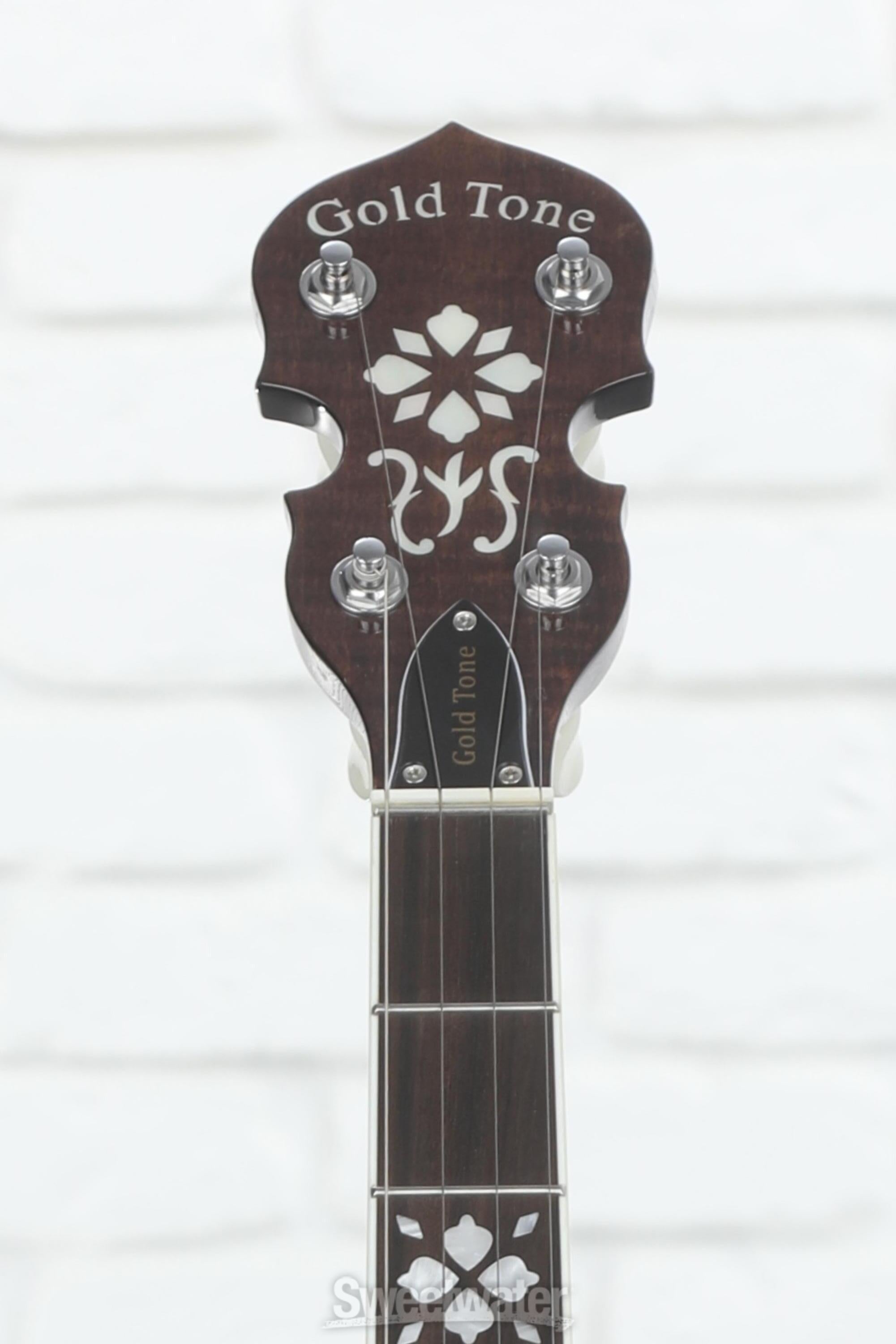 Gold Tone PS-250 Plectrum Special 4-string Resonator Banjo - Vintage ...
