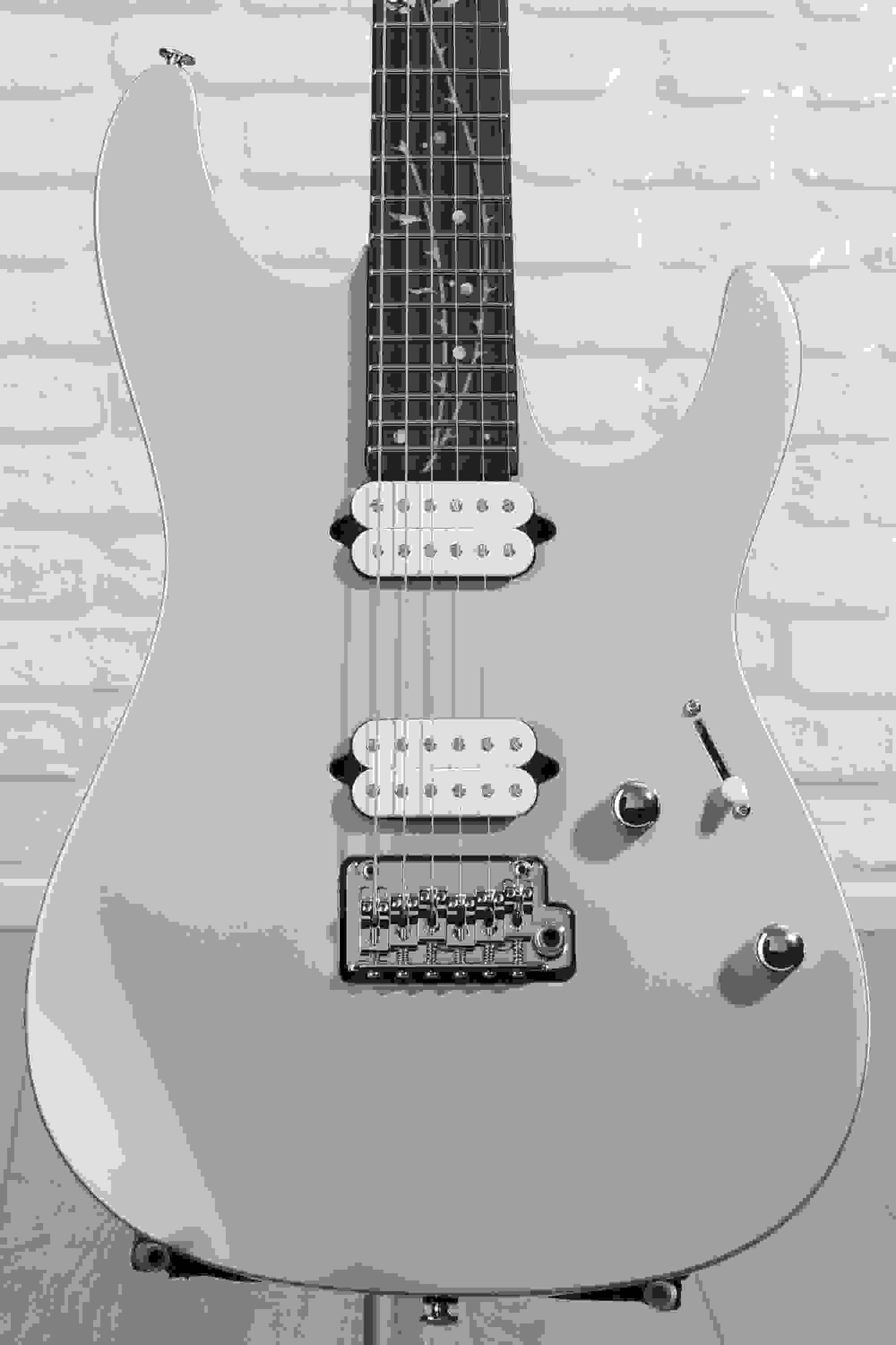 Ibanez TOD10 Tim Henson Signature Electric Guitar - Classic Silver ...