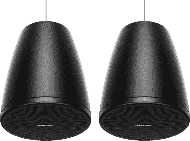 Bose Professional DesignMax DM3P Pendant Speaker - Black (1-pair ...