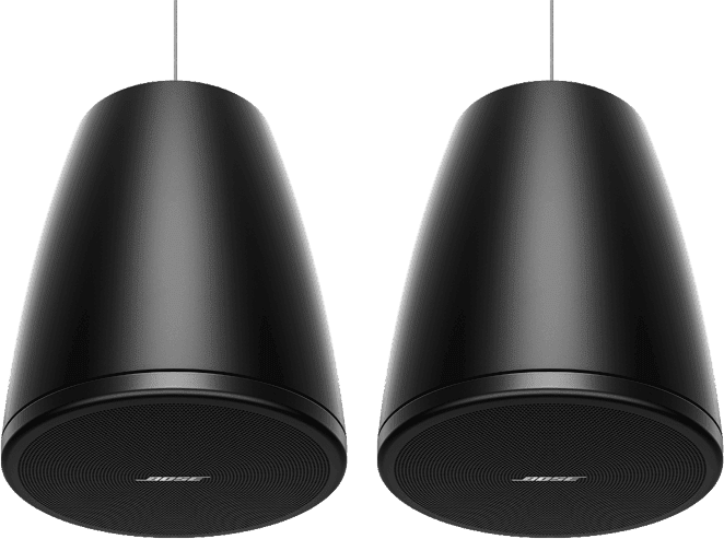 Bose Professional DesignMax DM3P Pendant Speaker - Black (1-pair ...