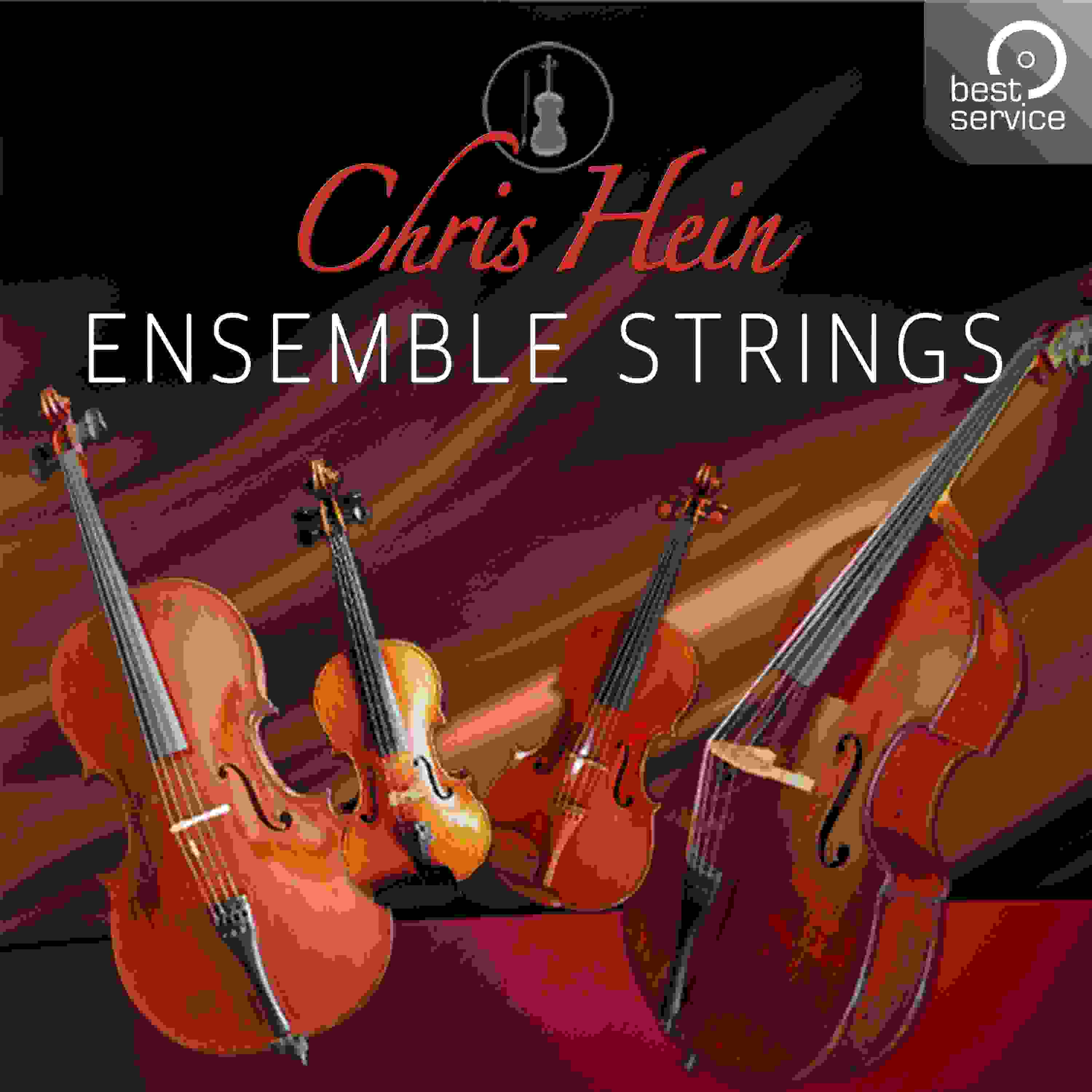 Best Service Chris Hein Ensemble Strings | Sweetwater