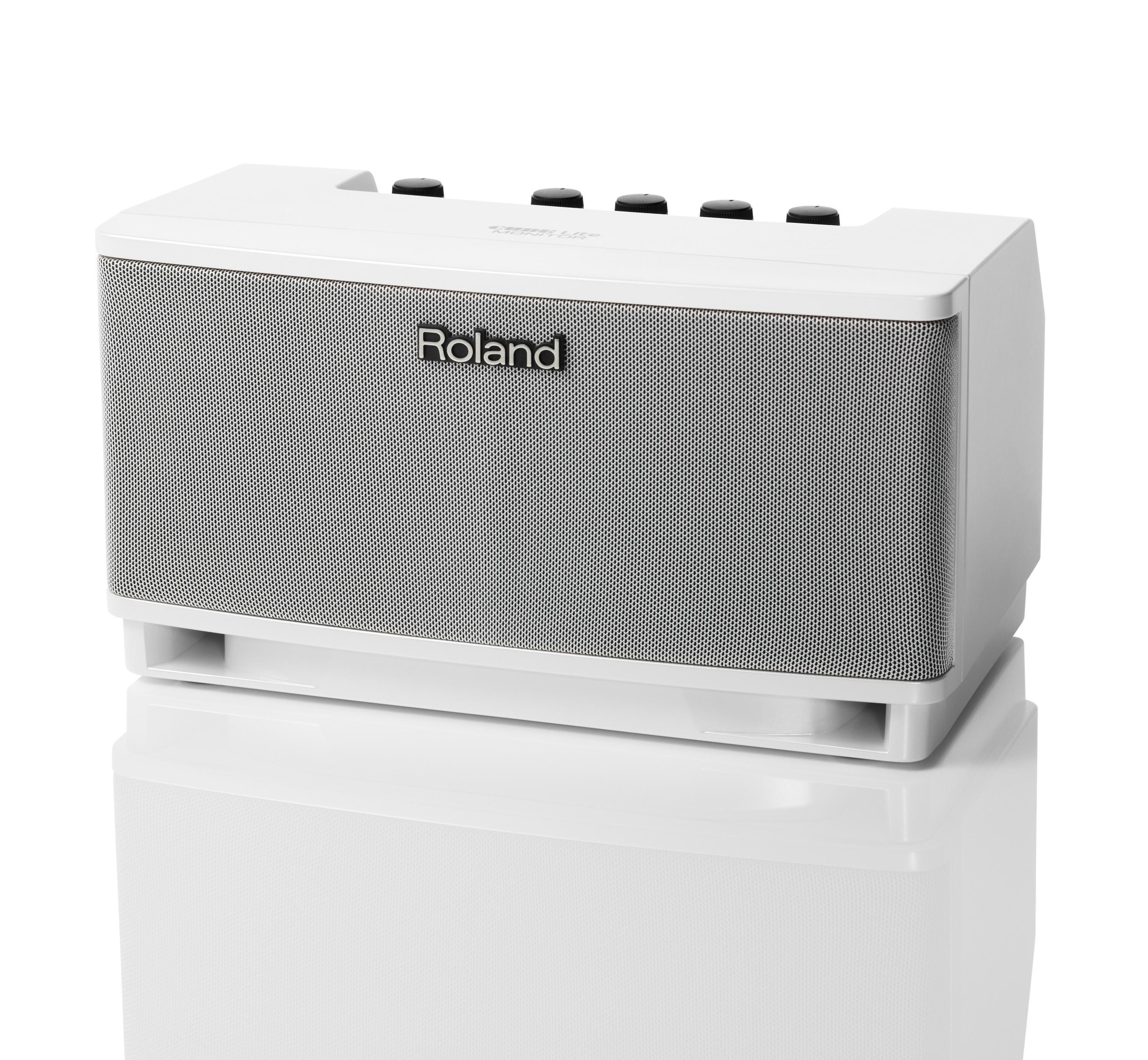 Roland CUBE Lite Monitor | Sweetwater