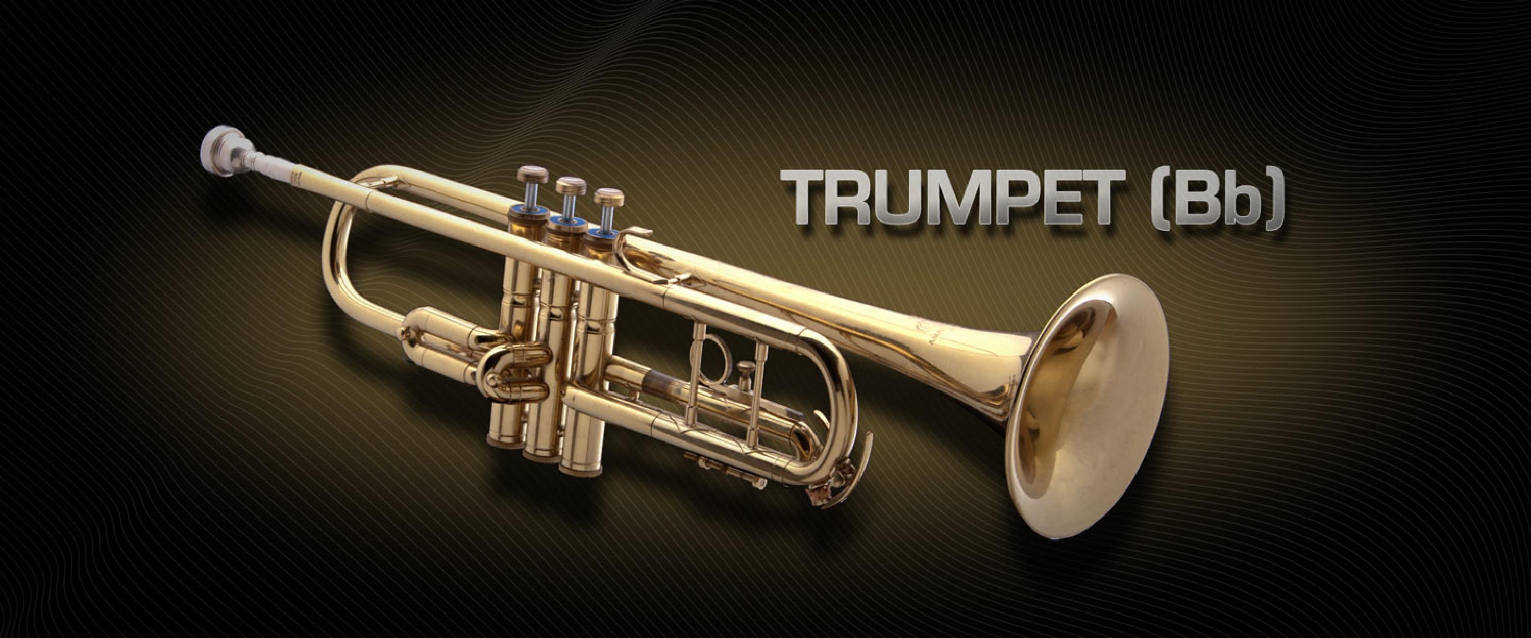 Vienna Symphonic Library Trumpet (Bb) | Sweetwater