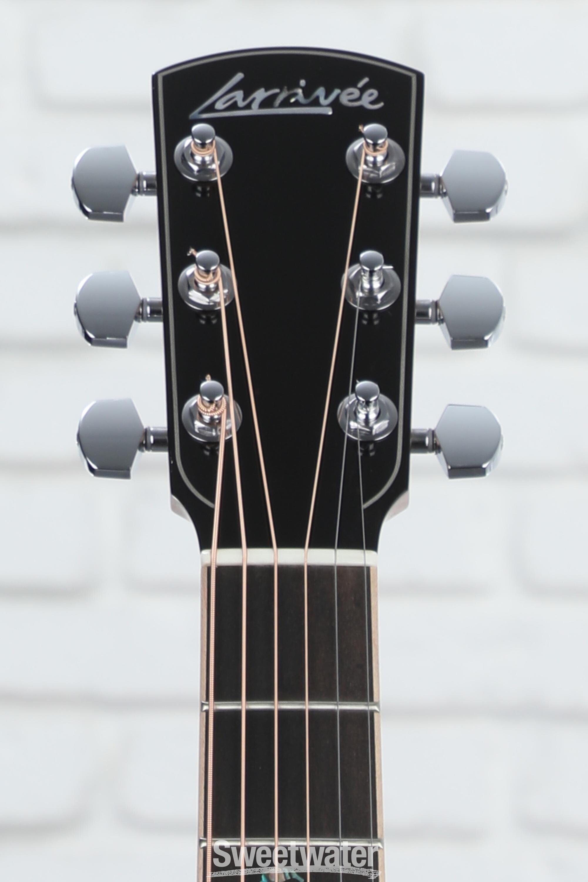 Larrivee D-10 Alpine Moon Spruce Deluxe Series Acoustic Guitar ...