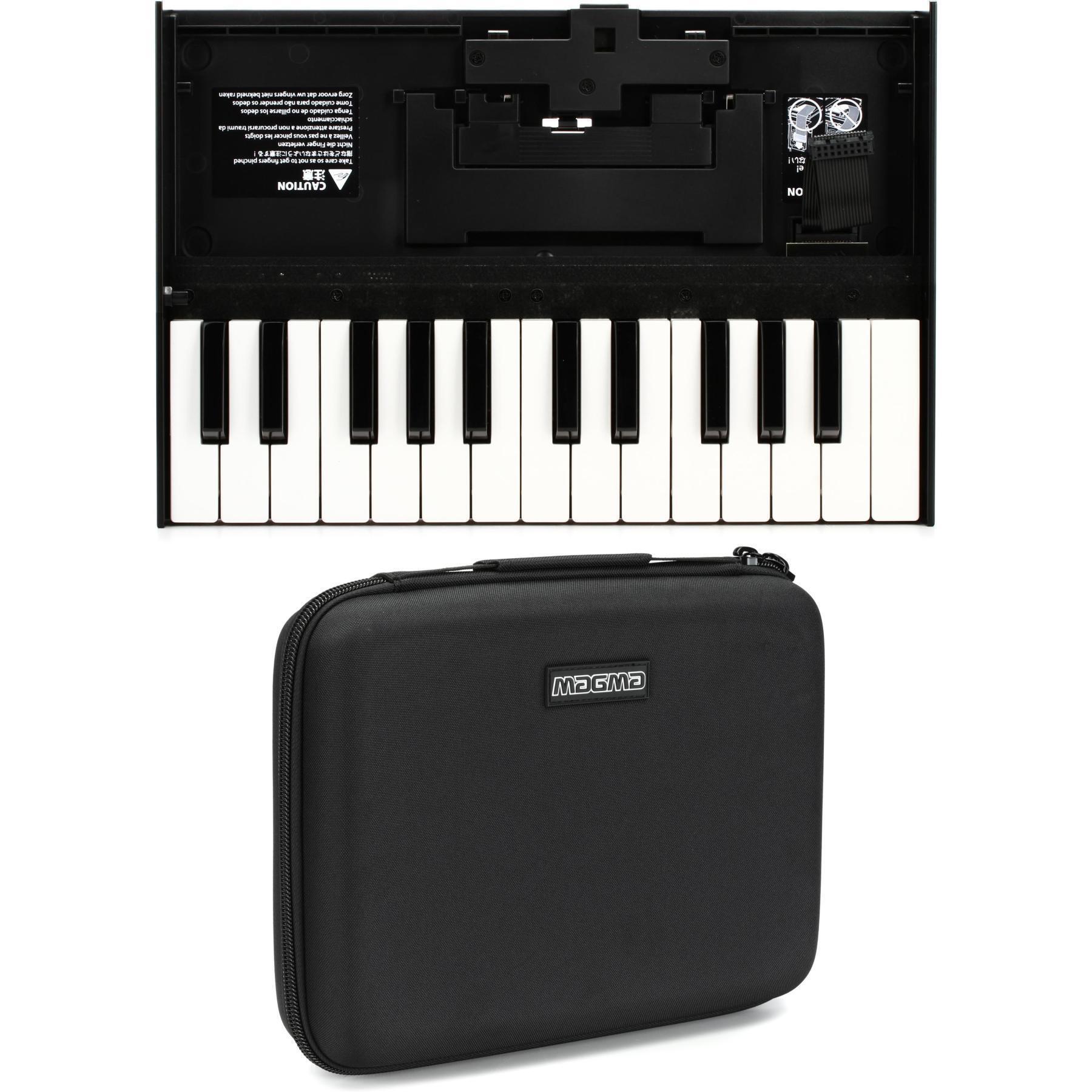 Roland K-25m Boutique Series Keyboard Unit with Magma Case | Sweetwater