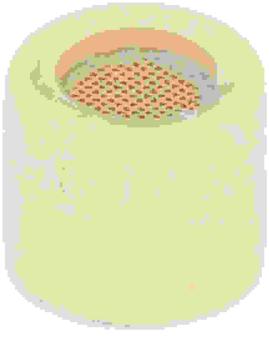 Countryman B3 Protective Cap with Flat Frequency Response - Light Beige ...