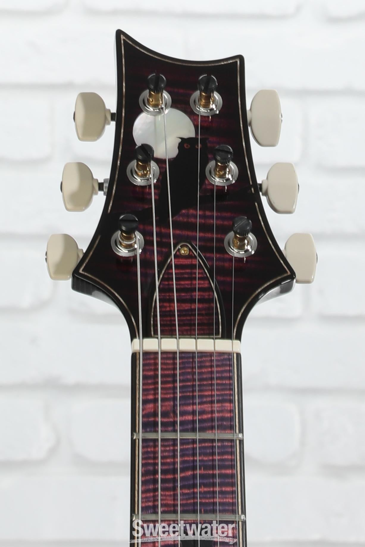 PRS Private Stock #11461 Special Semi-Hollow Electric Guitar ...