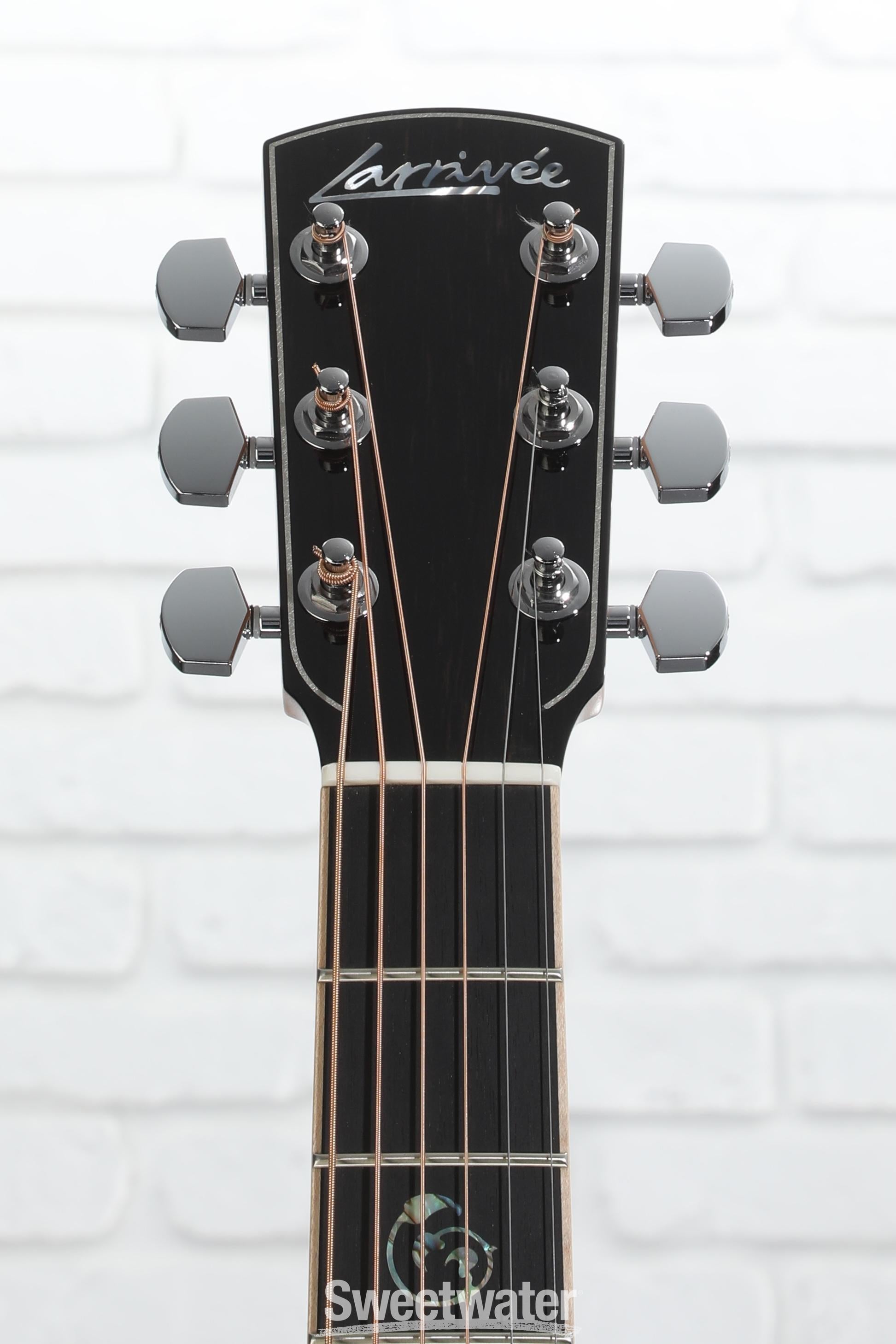 Larrivee D-10 Alpine Moon Spruce Deluxe Series Acoustic Guitar ...