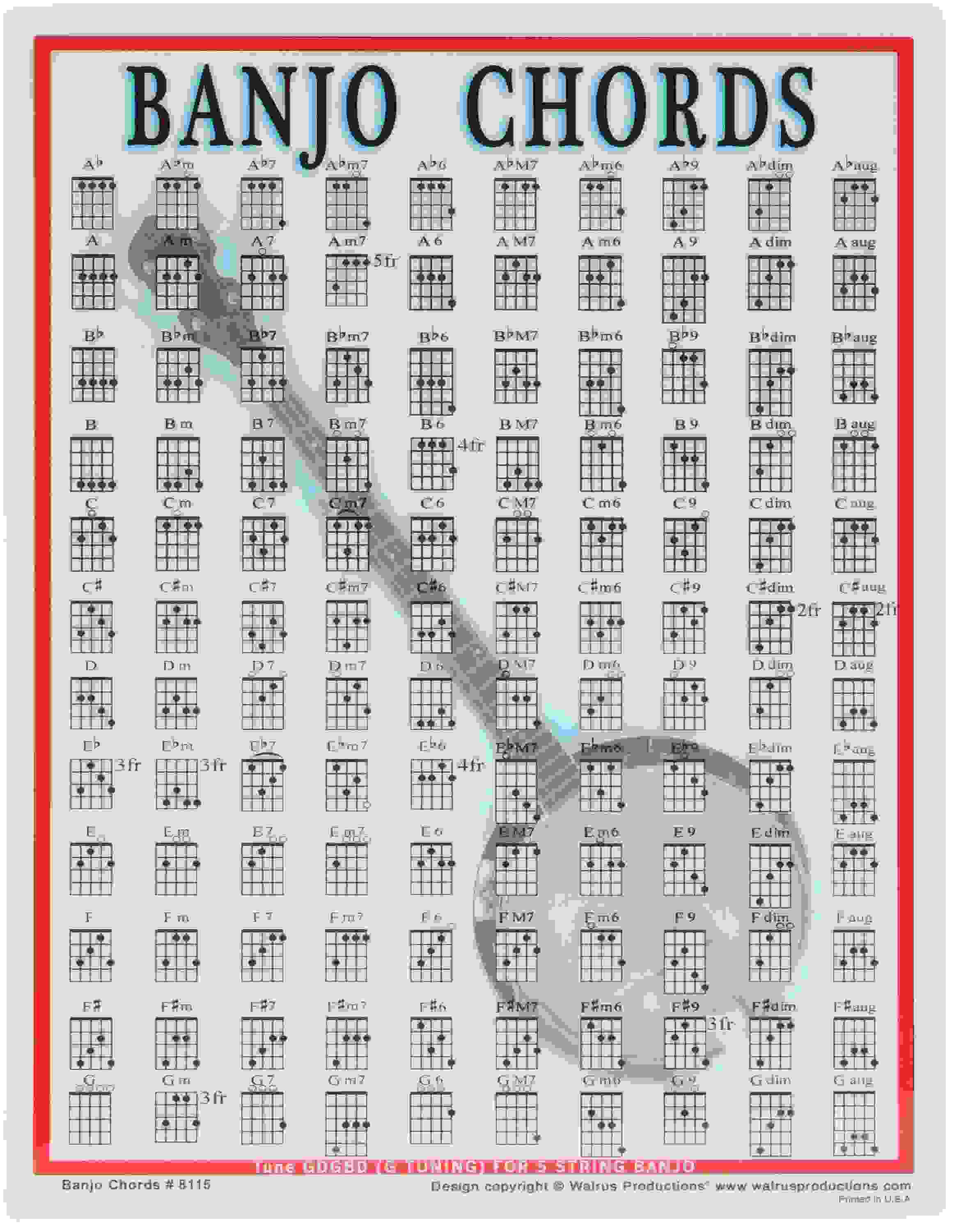 Walrus Productions Mini Laminated Banjo Chords Chart | Sweetwater