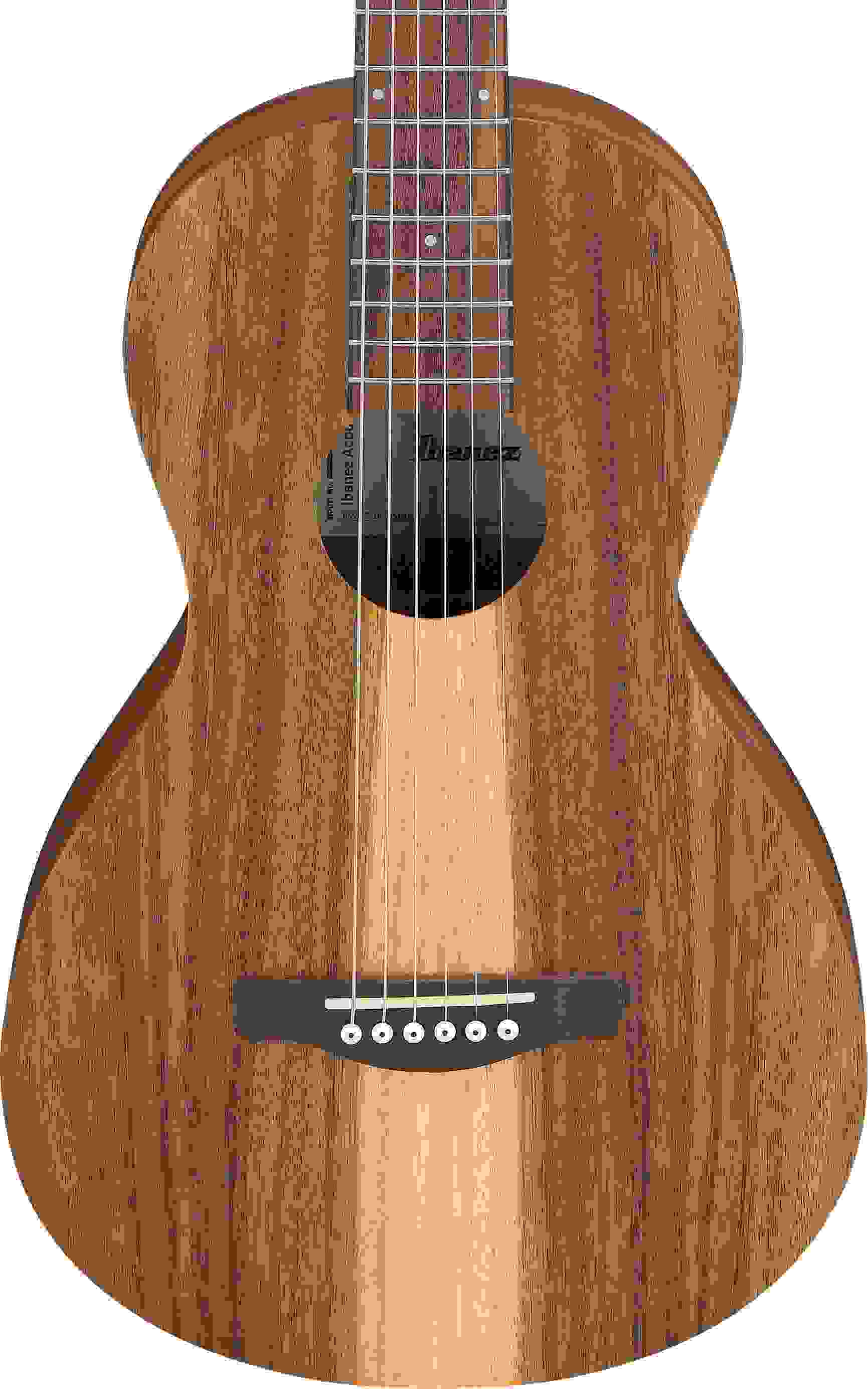 Ibanez PN2 Acoustic Guitar - Open Pore Natural | Sweetwater