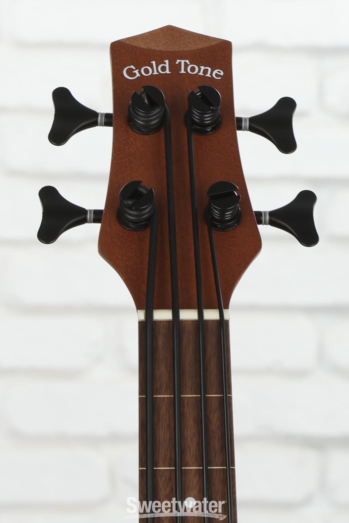 Gold Tone M-Bass25FL 25-inch Scale Fretless Acoustic-electric MicroBass ...