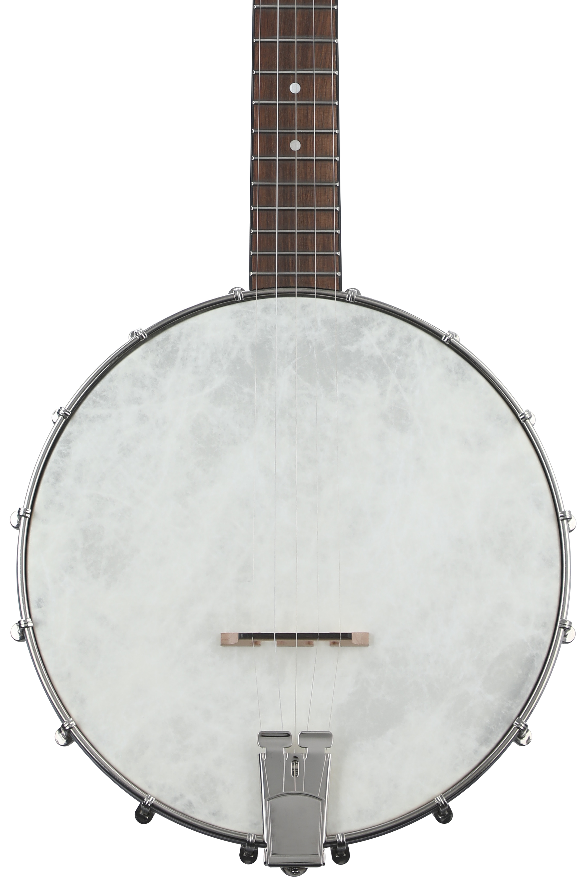 Recording King Dirty 30s Open-back Banjo | Sweetwater