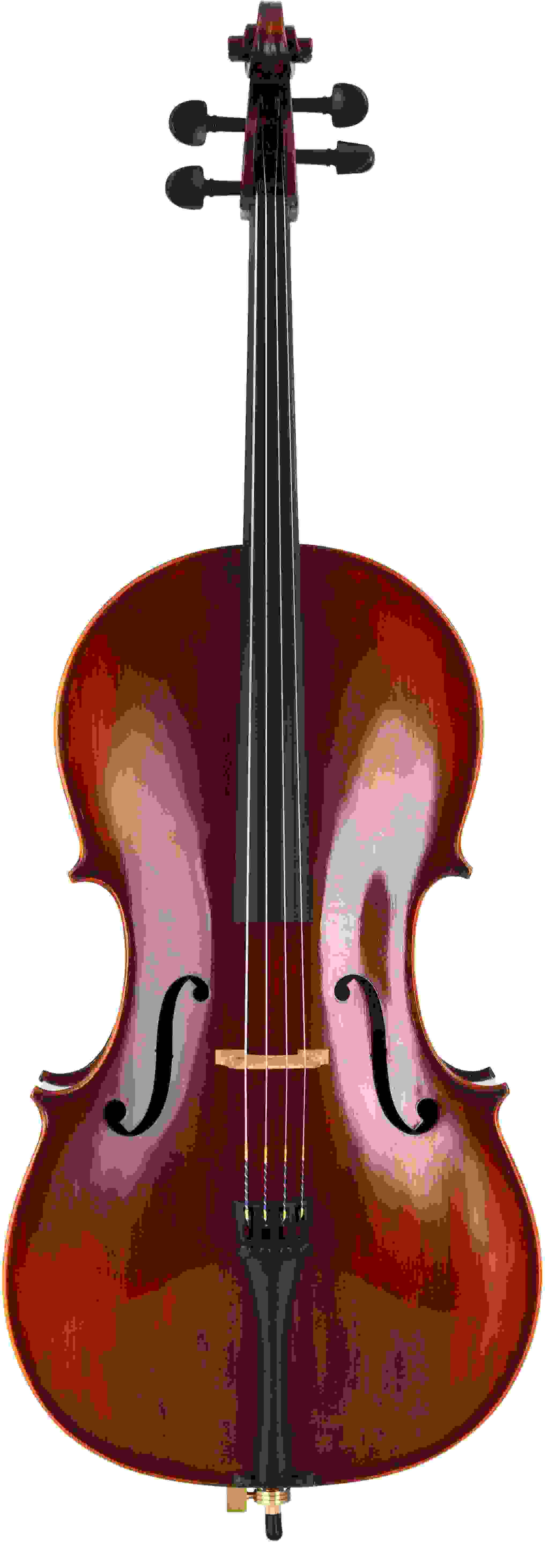 Eastman VC305 Andreas Eastman Intermediate Cello - 1/2 Size | Sweetwater