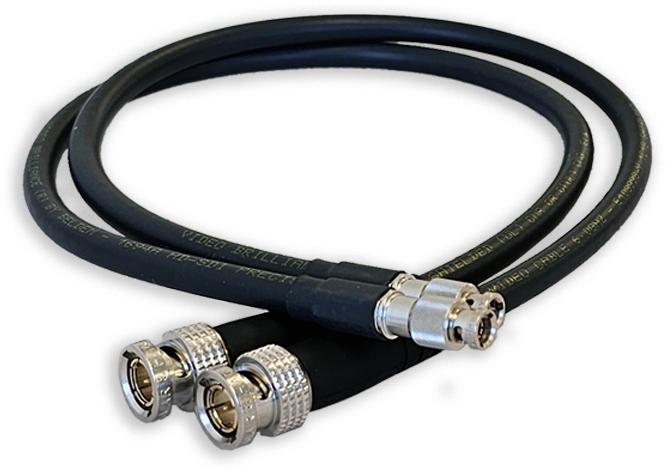 Digital Audio Denmark HD-BNC to BNC Adapter Cable Pair | Sweetwater