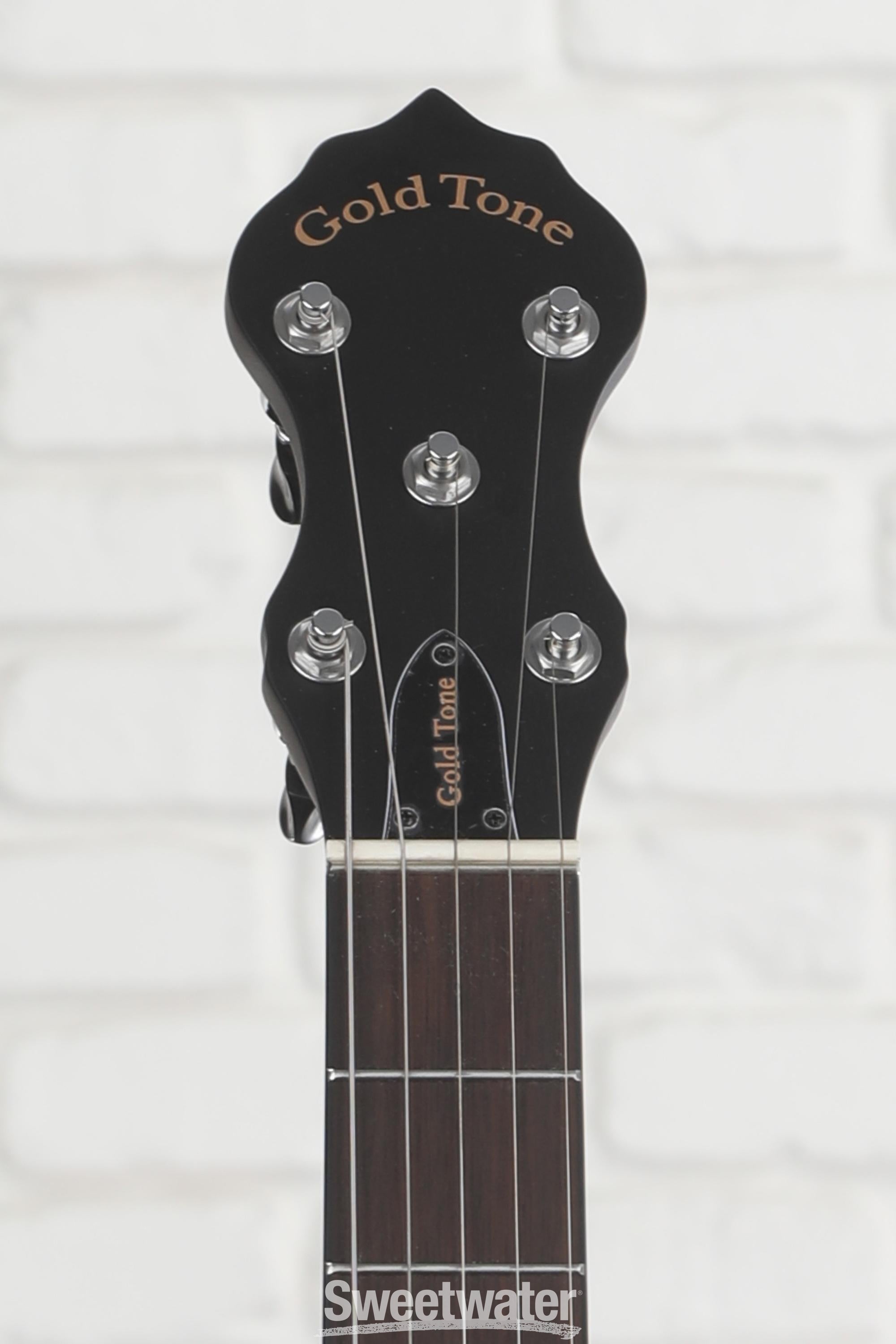 Gold Tone AC-5+1 Acoustic Composite 6-String Open-back Banjo | Sweetwater