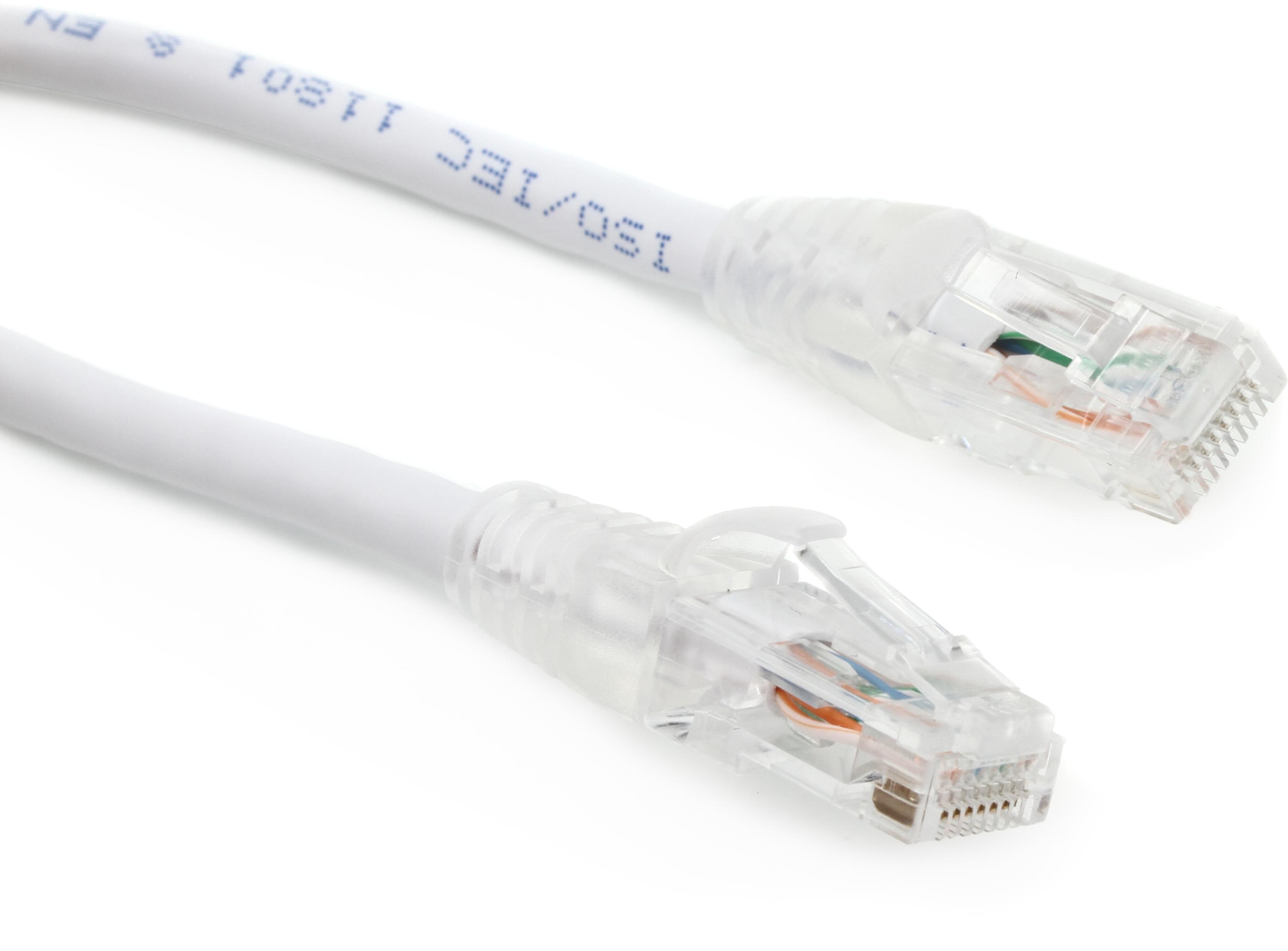 Pro Co CC6.W.100F Cat 6 Ethernet Cable - 100 foot White | Sweetwater