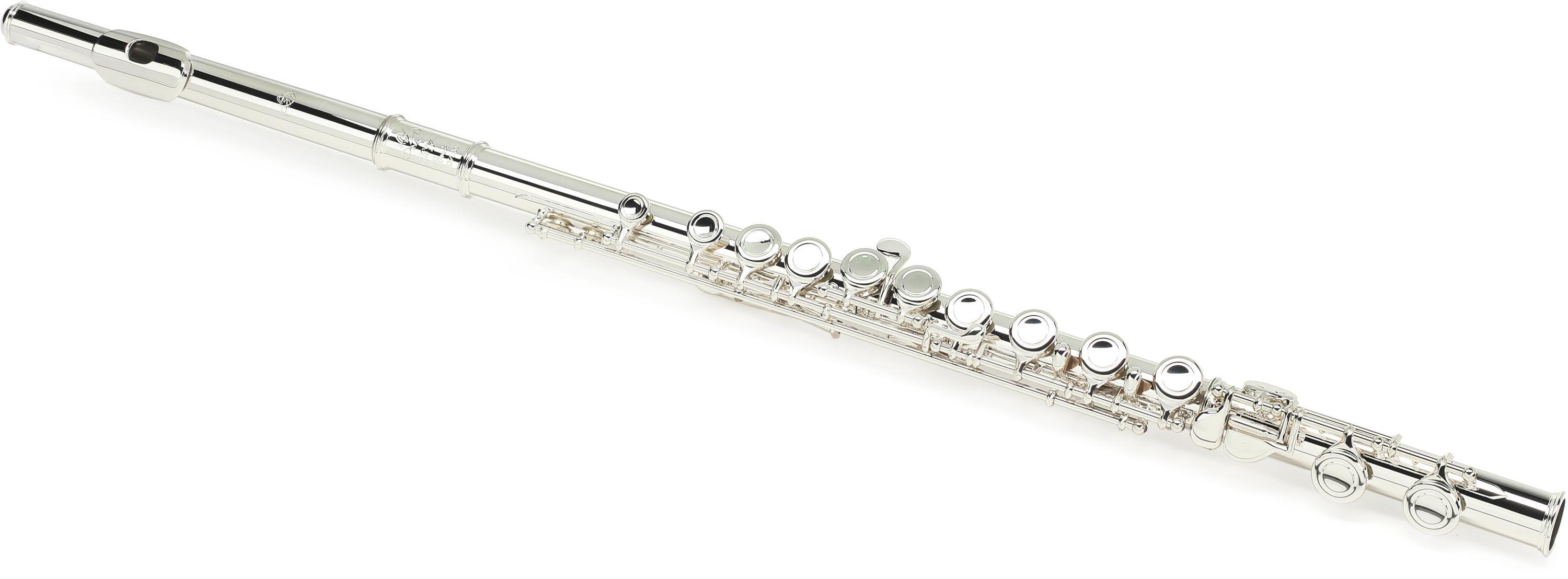 Di Zhao Flutes DZ 301 Student Flute with Offset G | Sweetwater