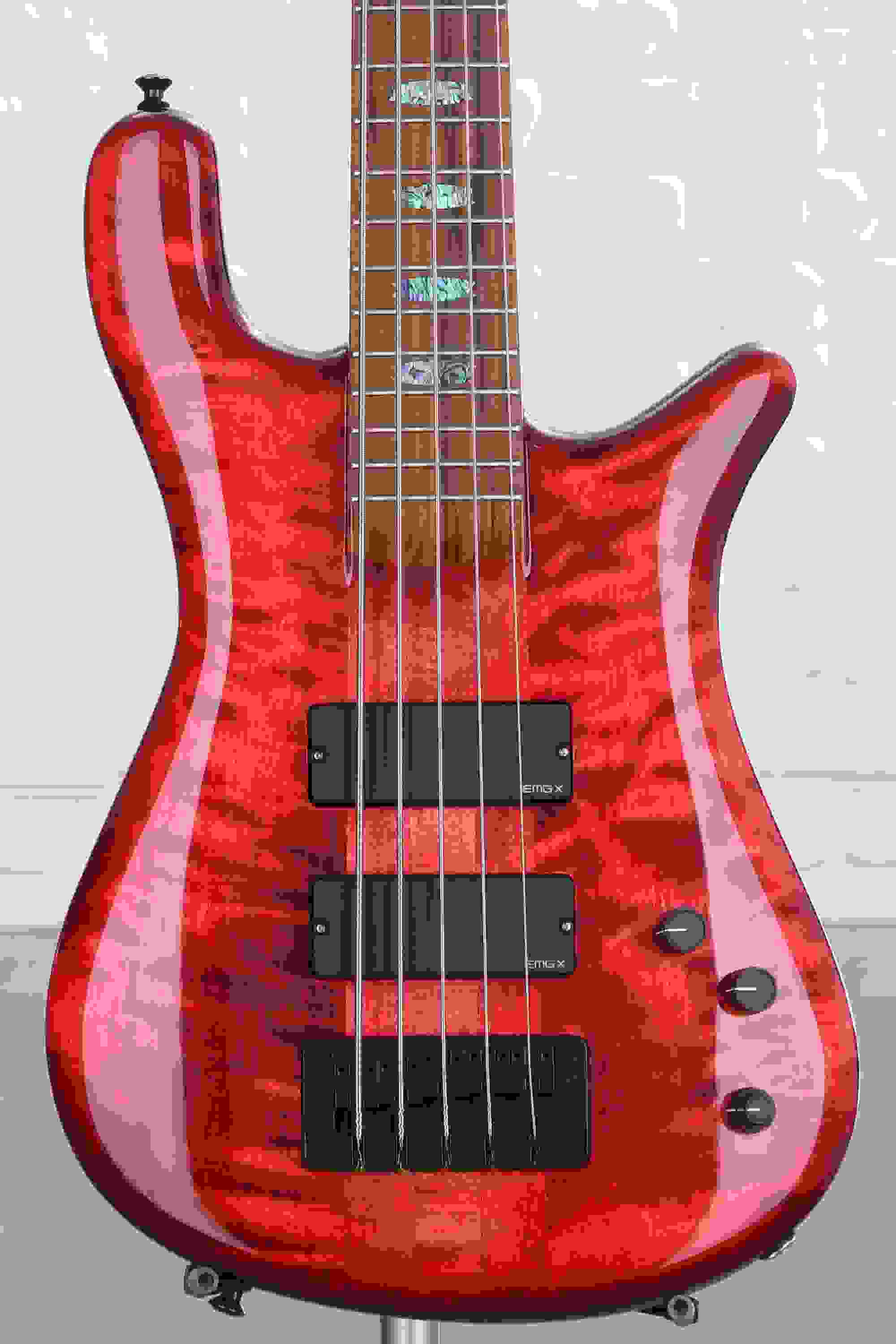 Spector USA NS-5XL Bass Guitar - Black Cherry Gloss | Sweetwater