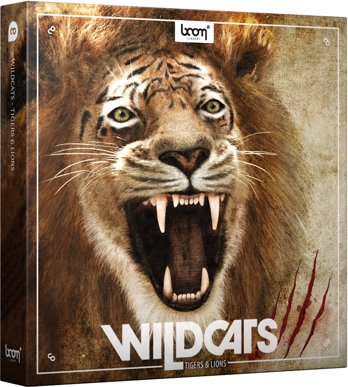Boom Library Wildcats Sound FX Library | Sweetwater