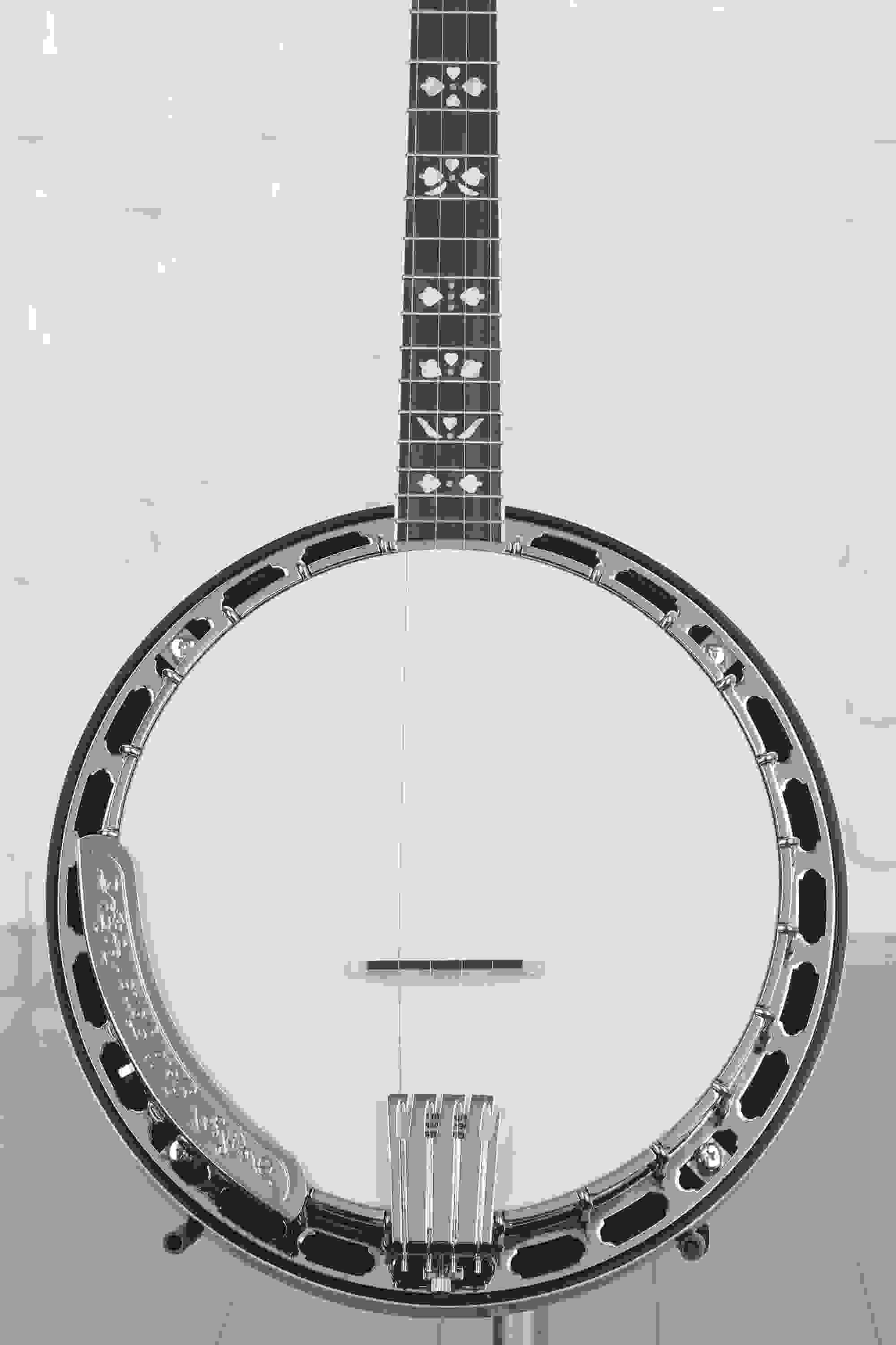 Gold Tone PS-250 Plectrum Special 4-string Resonator Banjo - Vintage ...