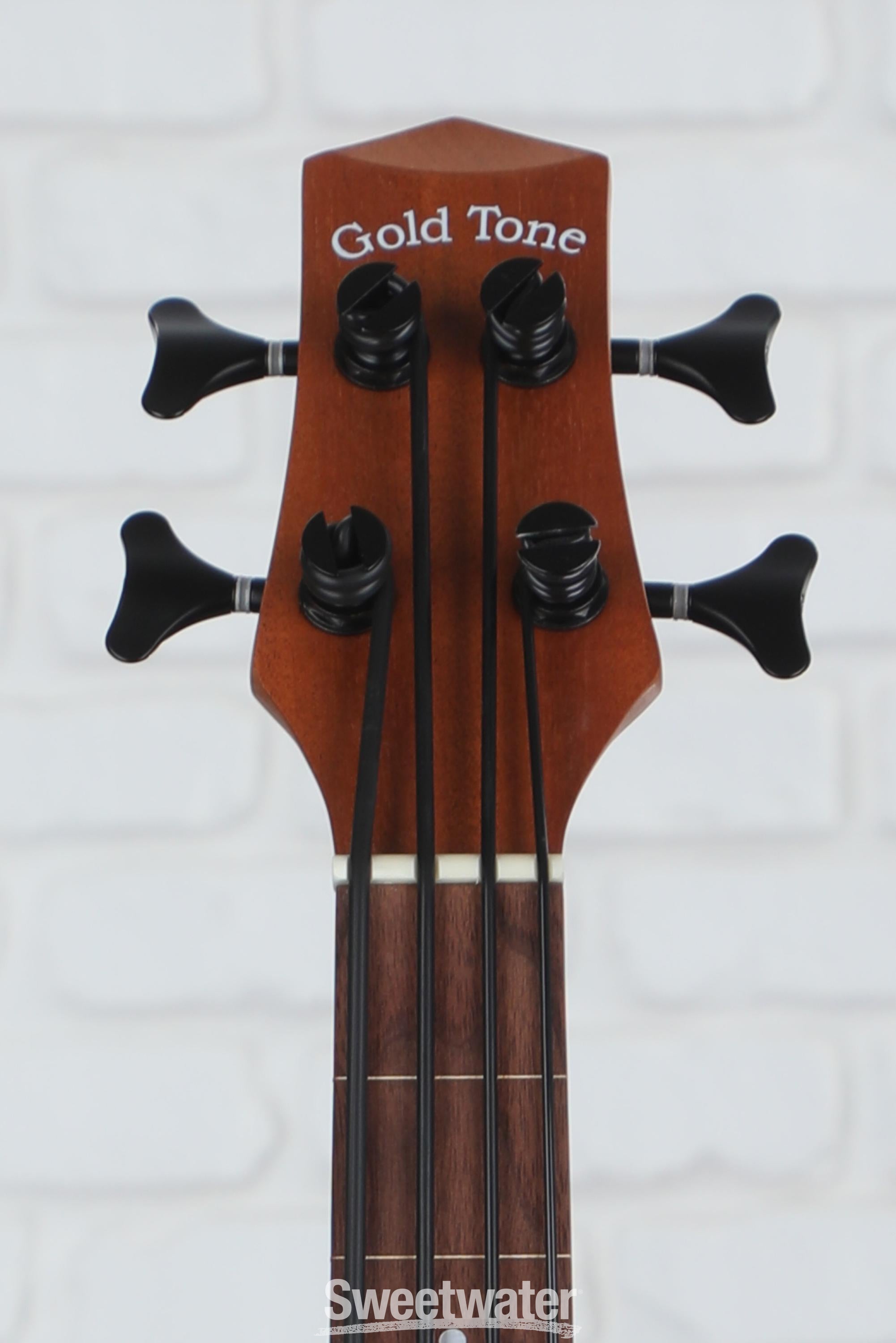 Gold Tone M-Bass25FL 25-inch Scale Fretless Acoustic-electric MicroBass ...