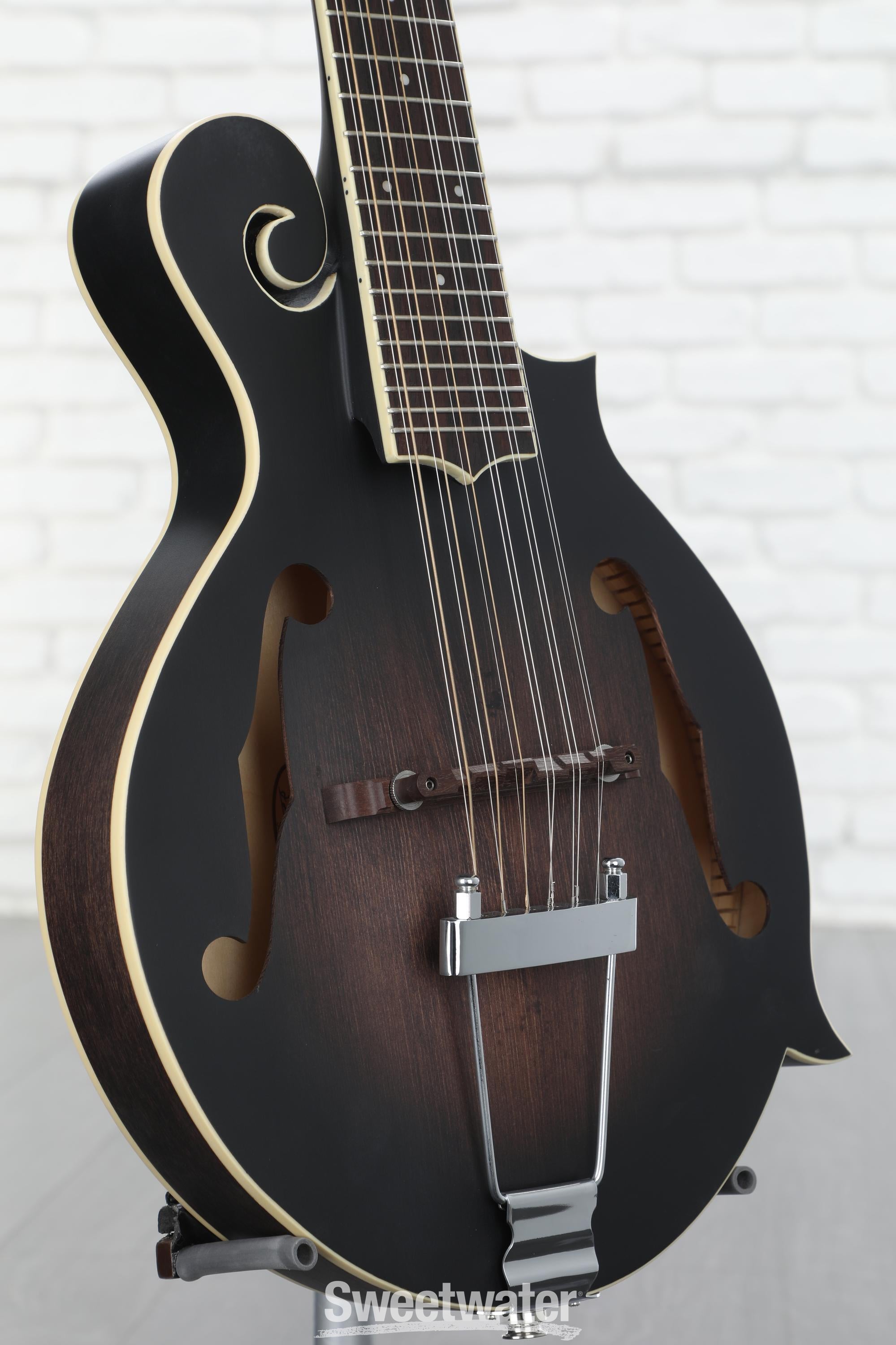 Gold Tone F-12 12-string Acoustic-electric Mando-Guitar - Tobacco ...