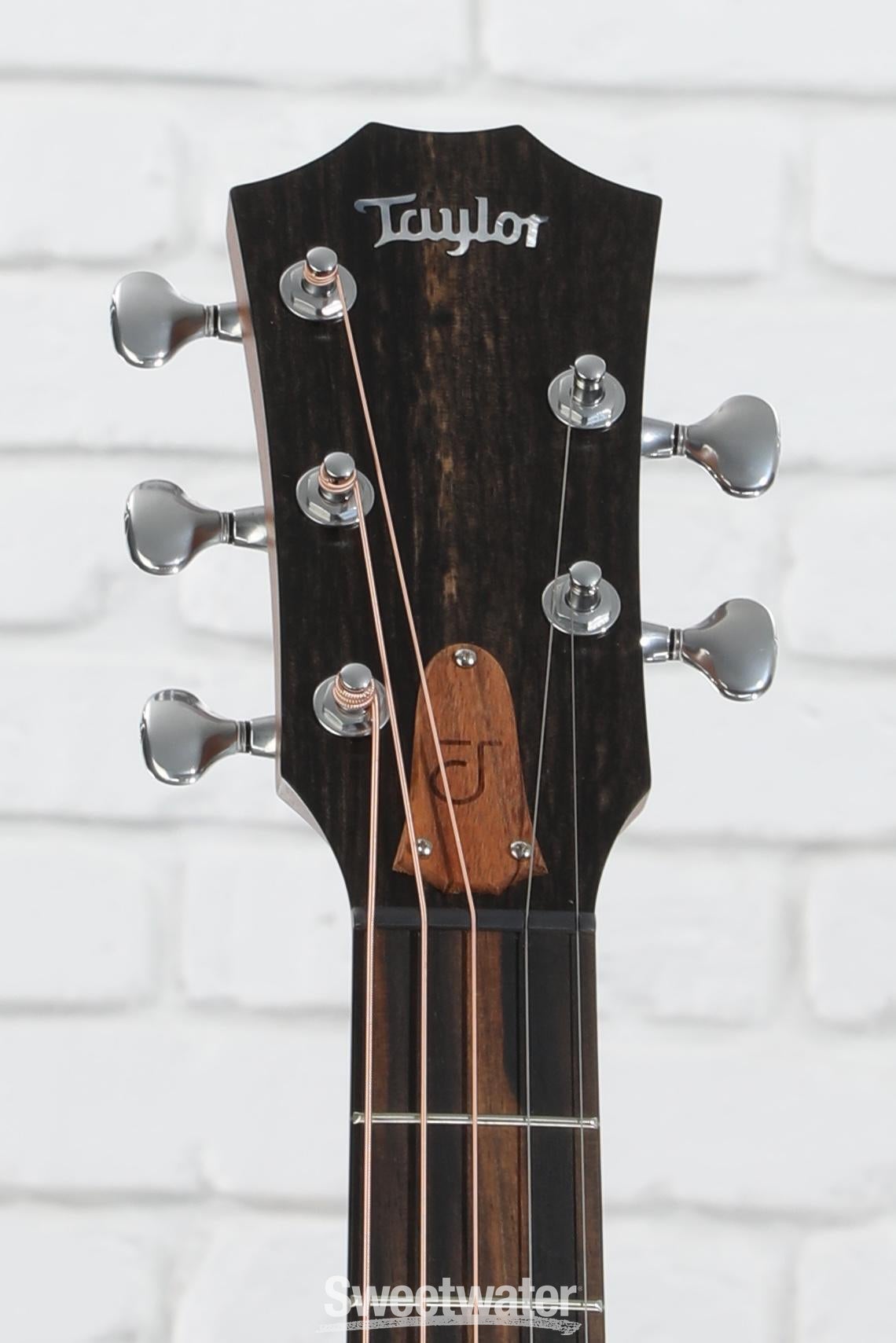Taylor JCSM-5 Jacob Collier Signature 5-string Acoustic-electric Guitar ...