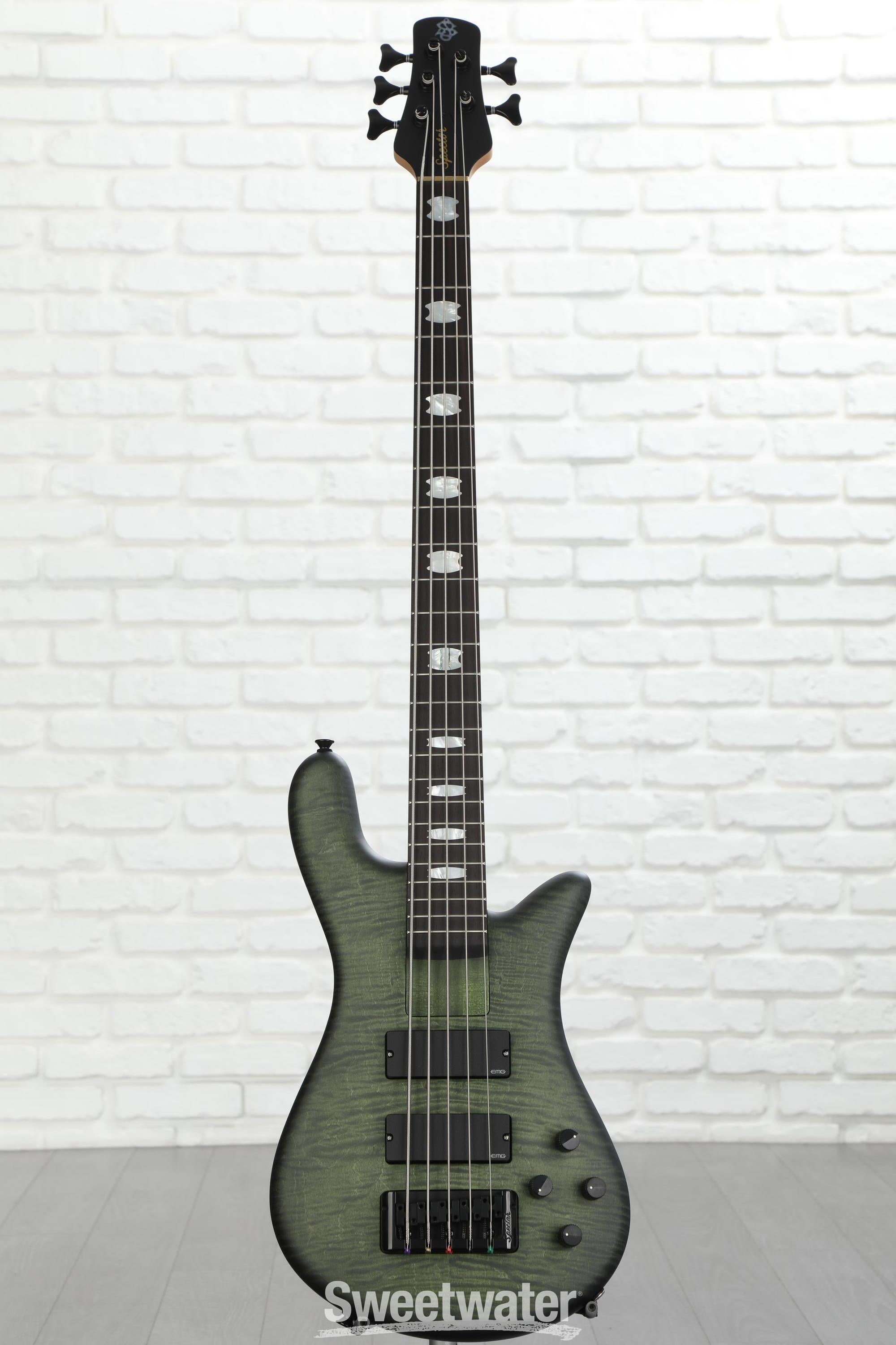 Spector Euro 5 LX Bolt-On Electric Bass Guitar - Haunted Moss | Sweetwater