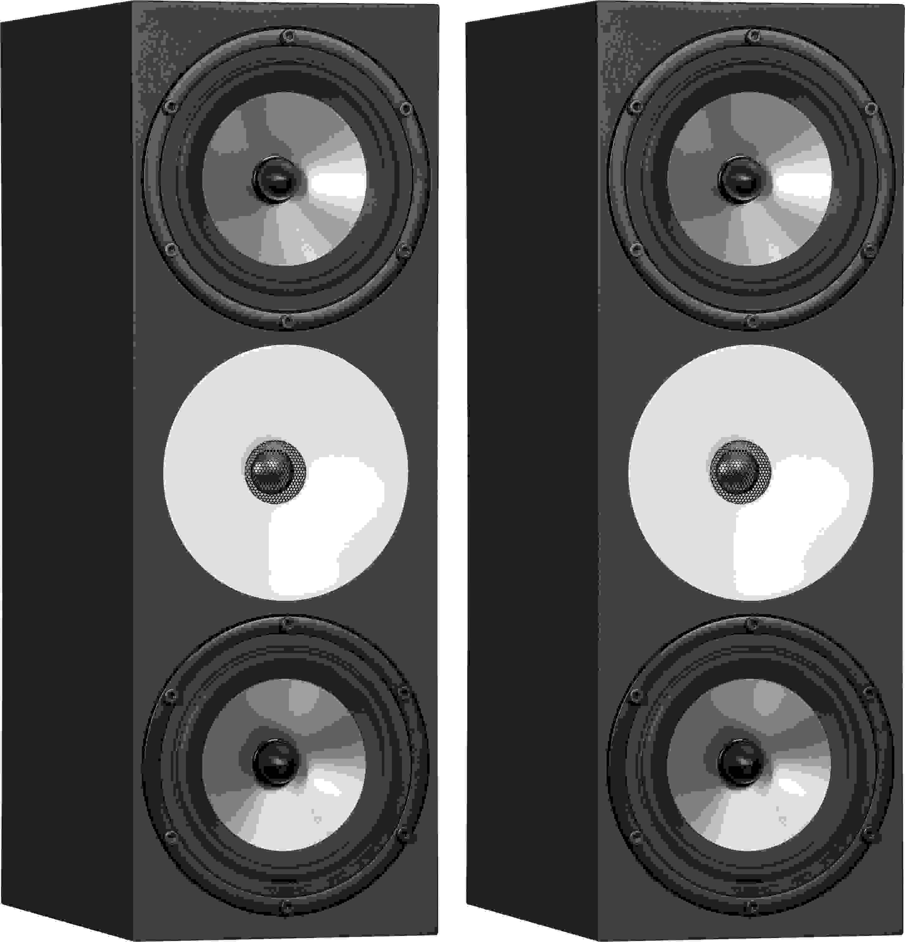 Amphion Two18X Dual 6.5-inch Passive Studio Monitors - Pair | Sweetwater