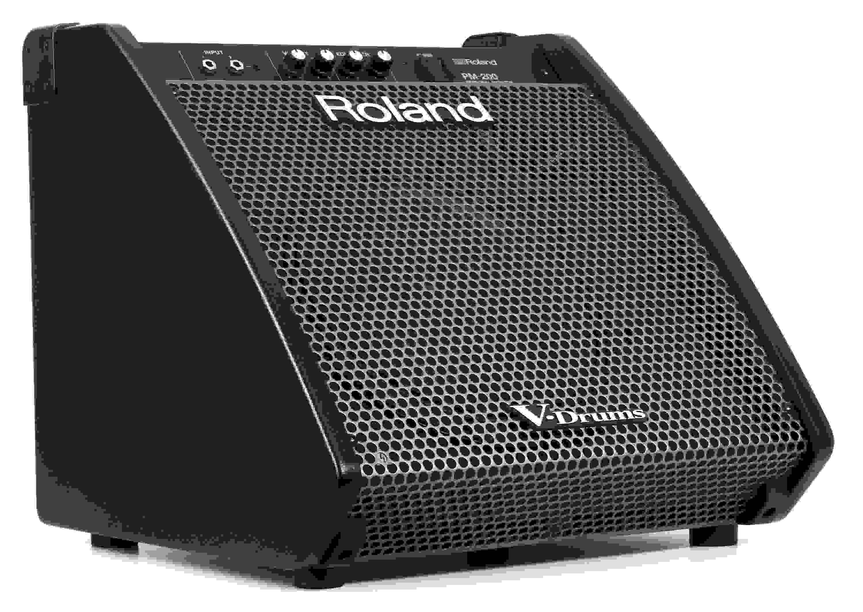 Roland PM-200 180-watt 1x12 inch Personal Drum Monitor | Sweetwater