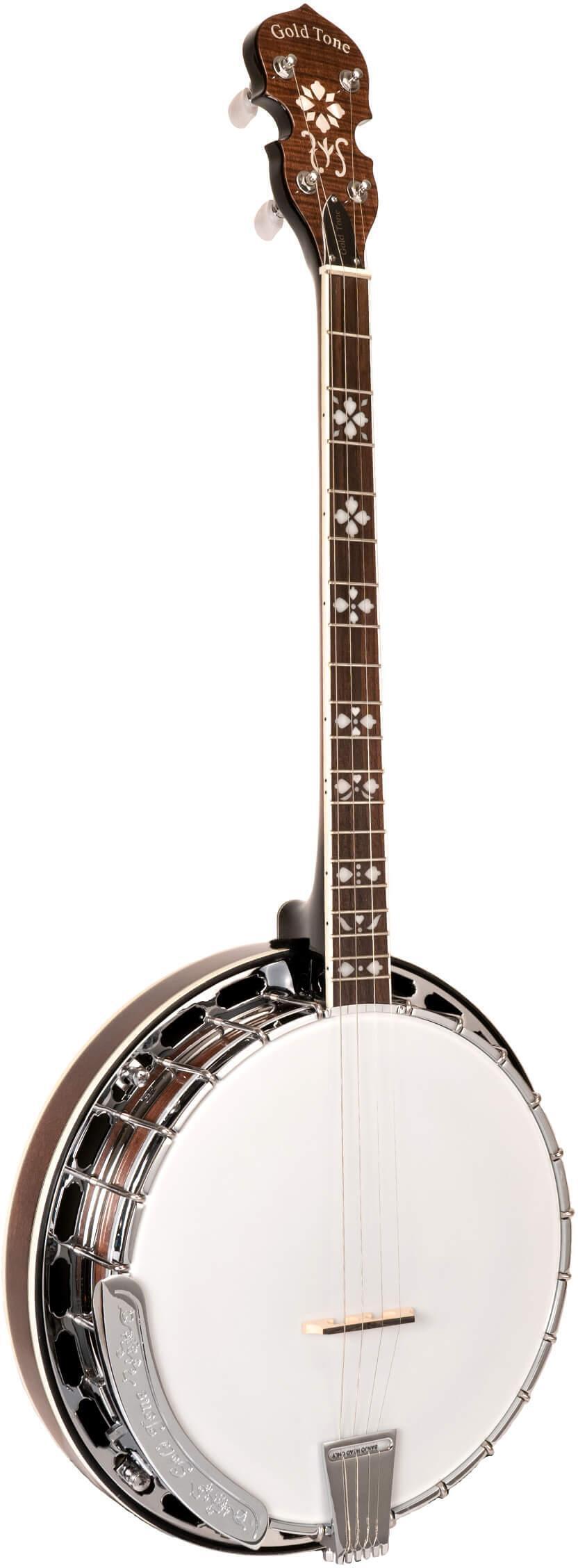 Gold Tone TS-250 Tenor Special Banjo - Vintage Brown | Sweetwater