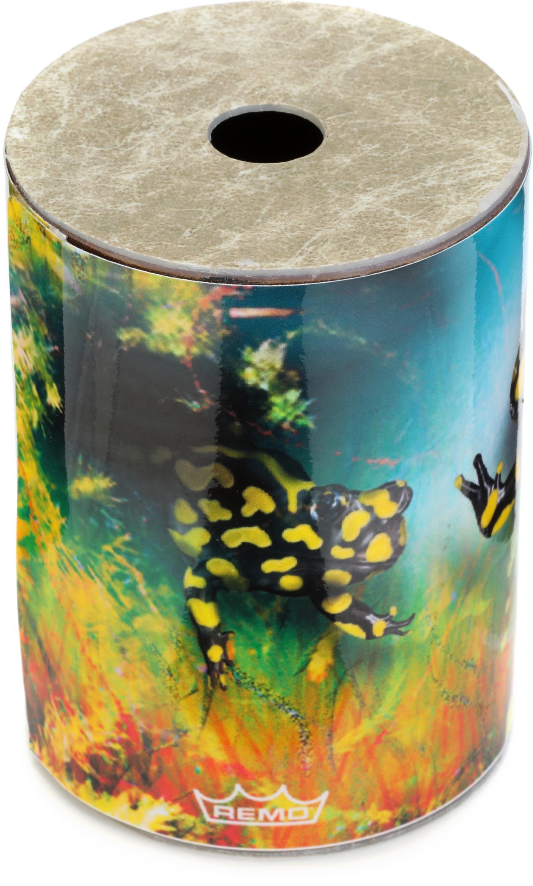 Remo FX Shaker - Corroboree Finish | Sweetwater