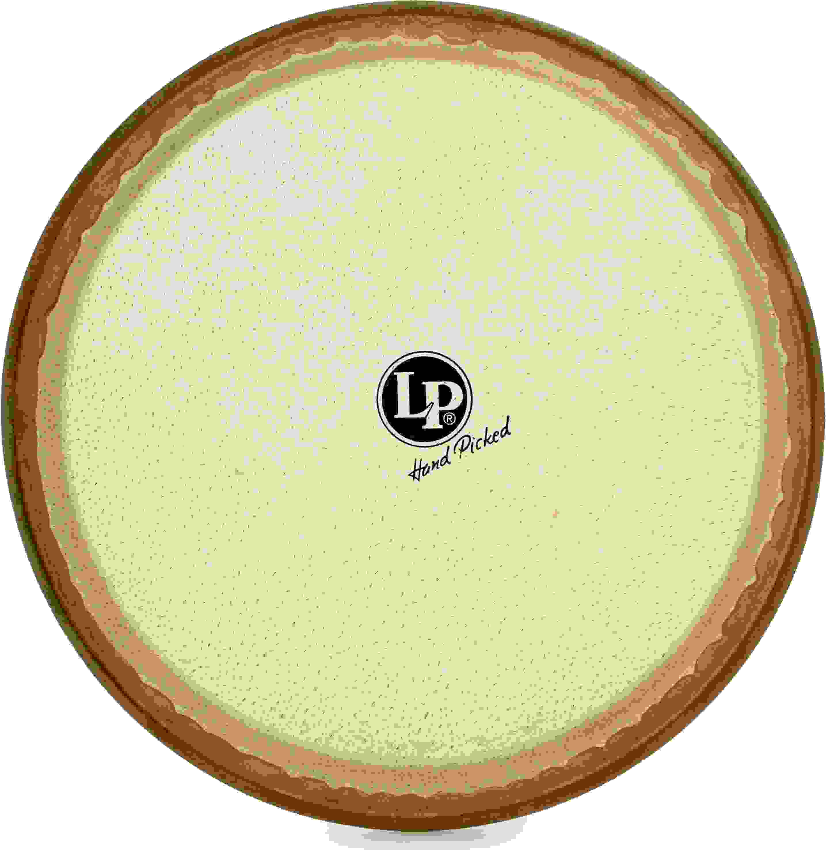 Latin Percussion Rawhide Conga Head - 11 inch - Quinto | Sweetwater