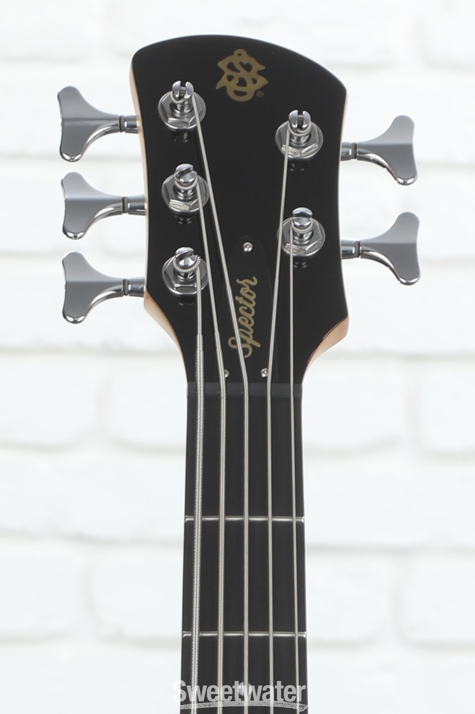 Spector Legend 5 Standard Bass Guitar - Blue Stain Gloss | Sweetwater