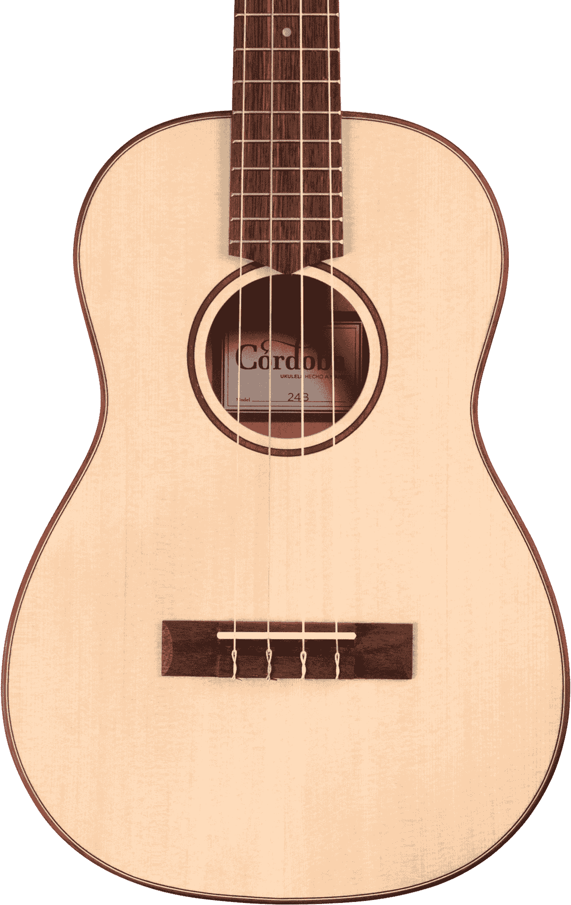 Cordoba 24B Baritone Ukulele - Spruce | Sweetwater
