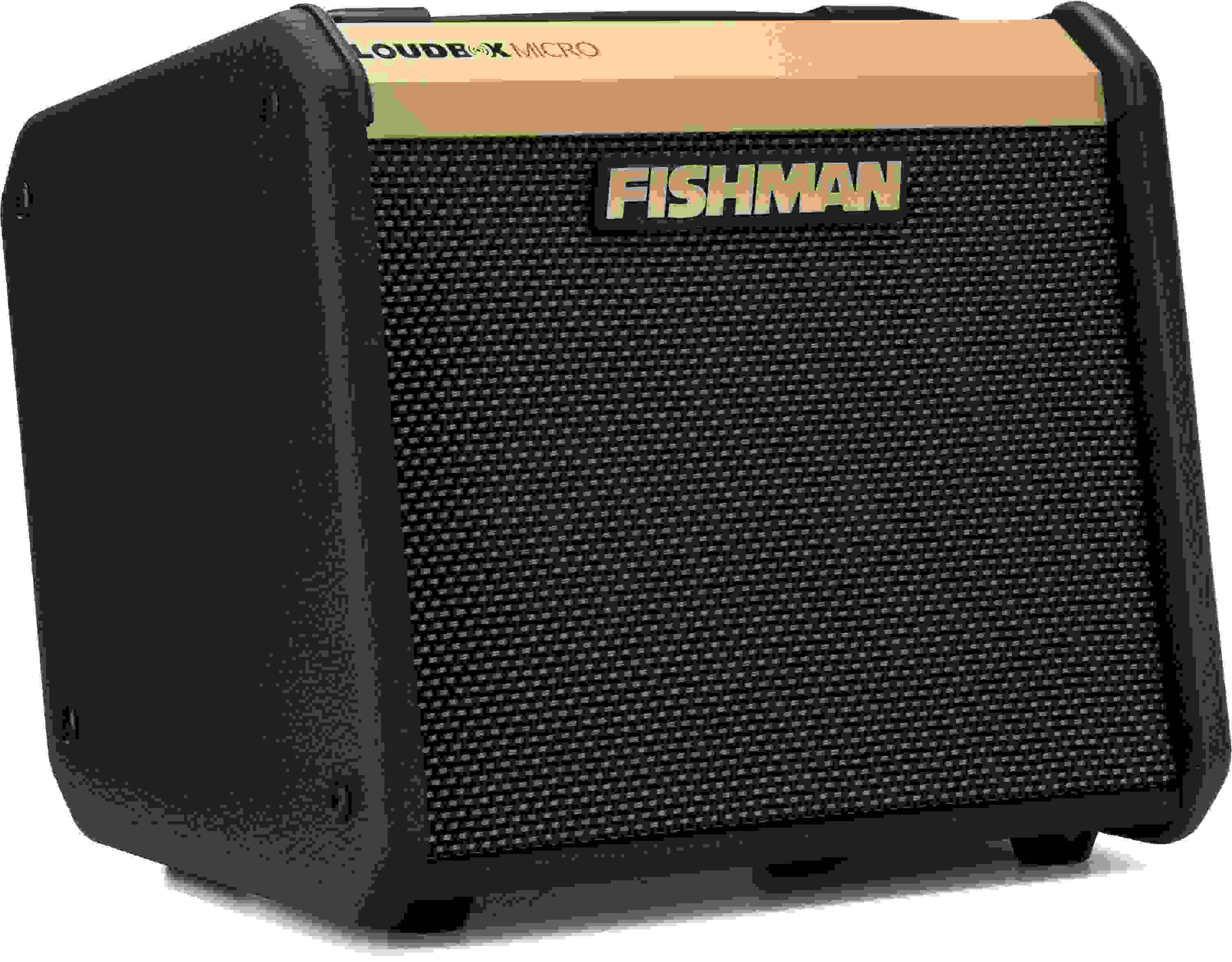 Fishman Loudbox Micro 40-watt 1 x 5.25-inch Acoustic Guitar Amplifier ...