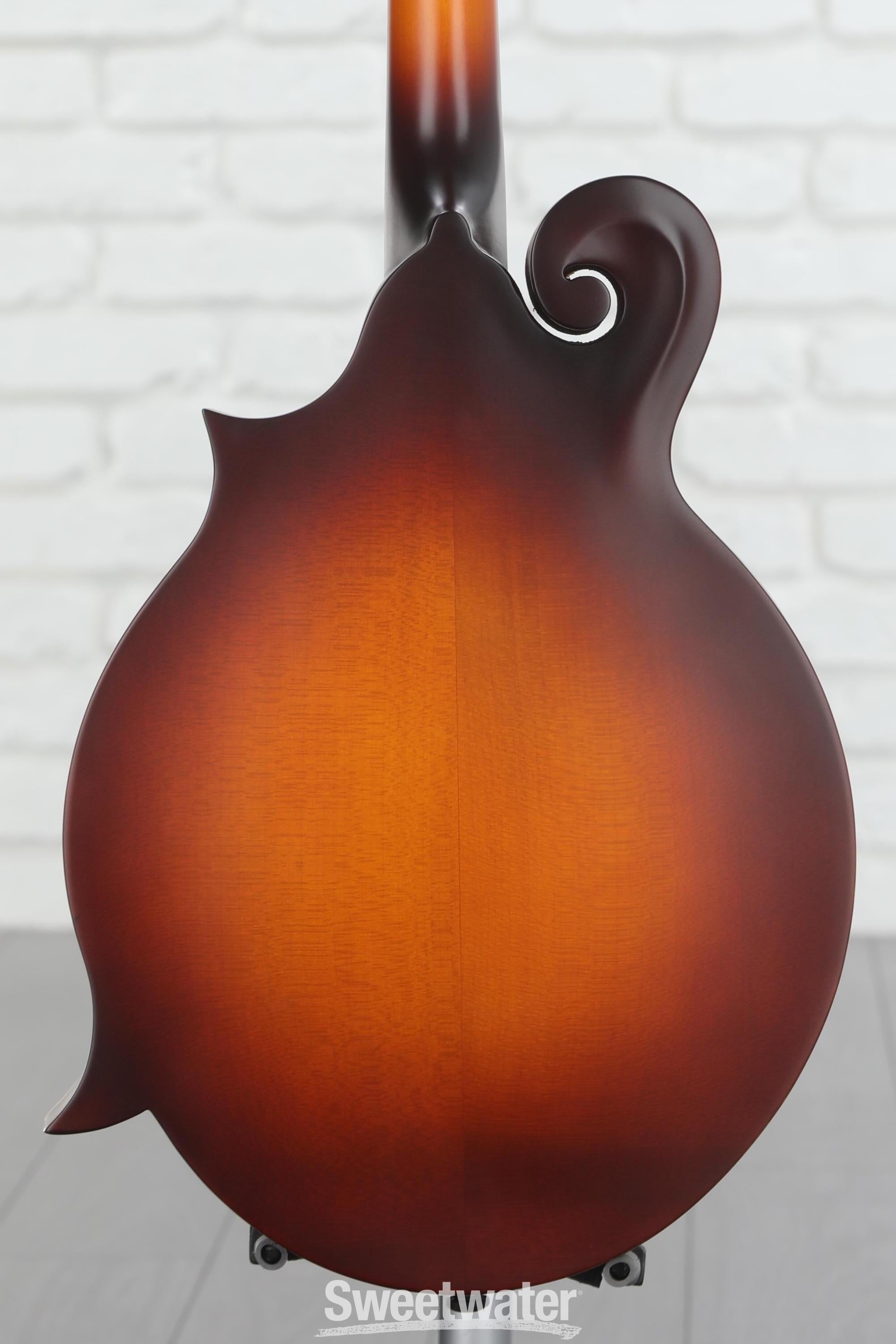 The Loar LM-590-MS Acoustic F-style Mandolin - Satin Tobacco Sunburst ...