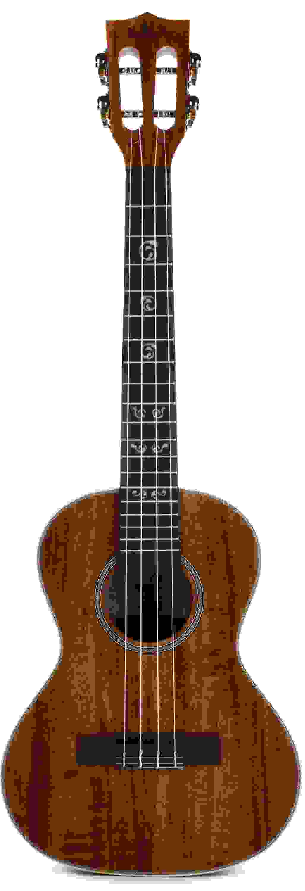 Kala KA-SA-T Solid Acacia Tenor Ukulele | Sweetwater