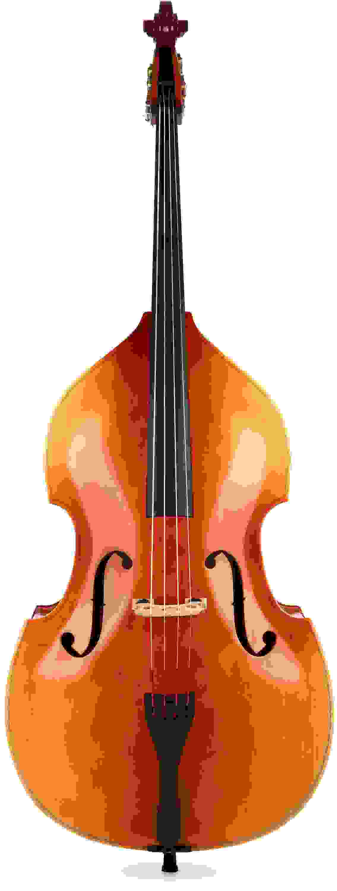 Howard Core A41 Core Academy Double Bass - Yellow Amber, 3/4 Size ...