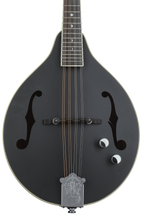 Luna Moonbird A-style Acoustic-electric Mandolin - Black Satin | Sweetwater