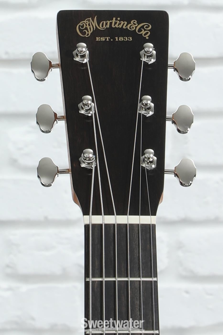 Martin D Biosphere III Acoustic Guitar - Printed Top with Polar Bear ...