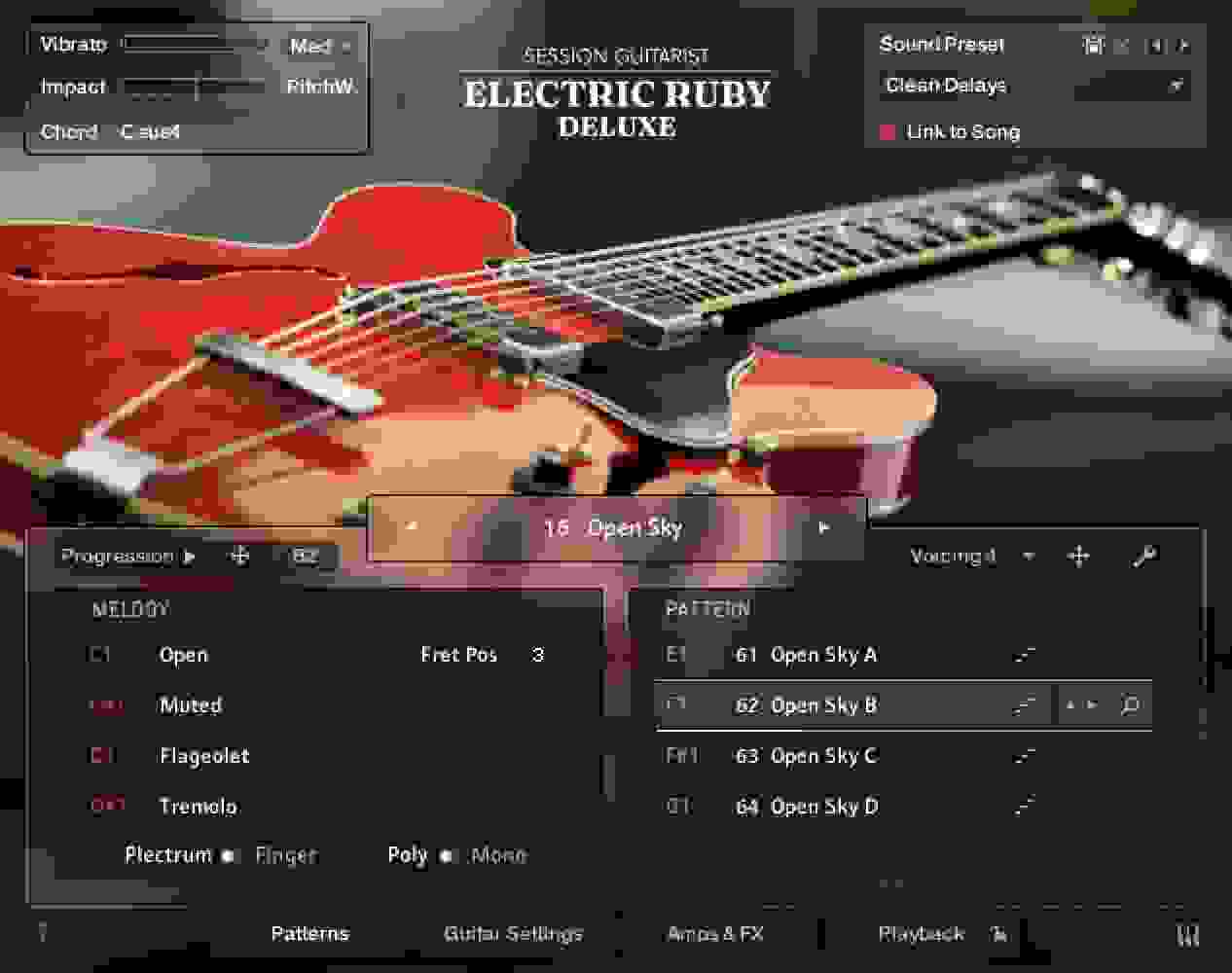 Native Instruments Session Guitarist - Electric Ruby Deluxe Virtual Instrument | Sweetwater