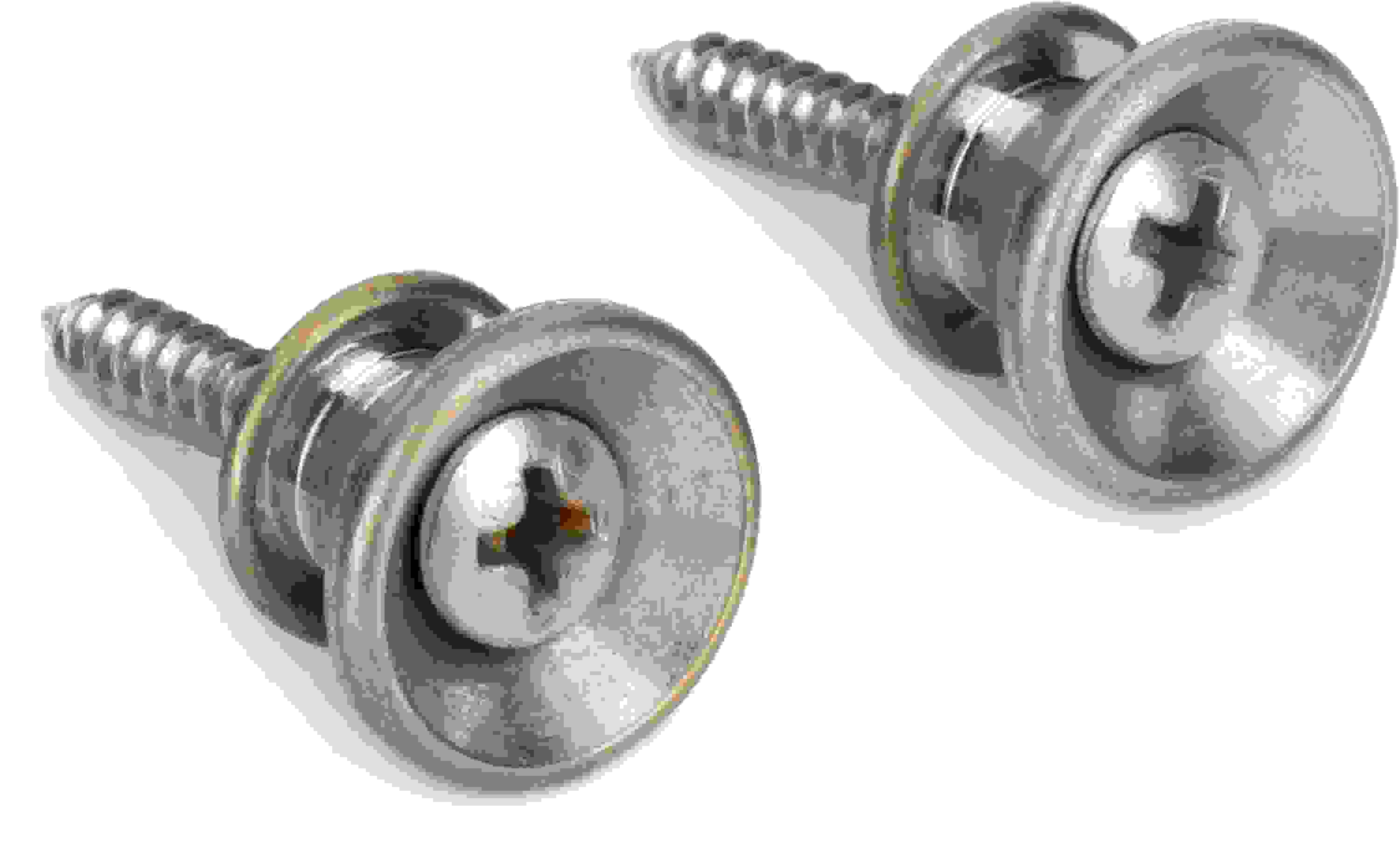 Gotoh EP-B2 Guitar Strap Pins - Aged Chrome | Sweetwater