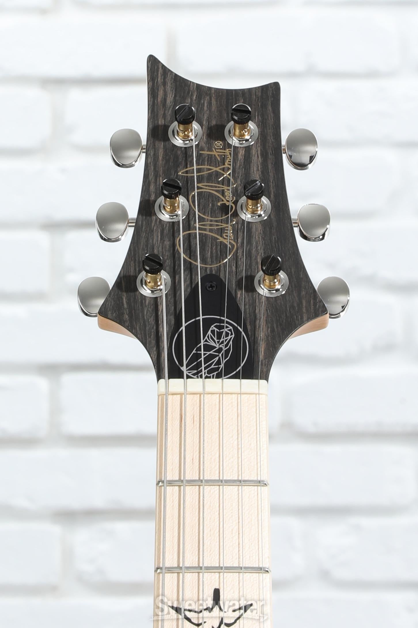 PRS Myles Kennedy Signature Electric Guitar - Platinum Metallic ...