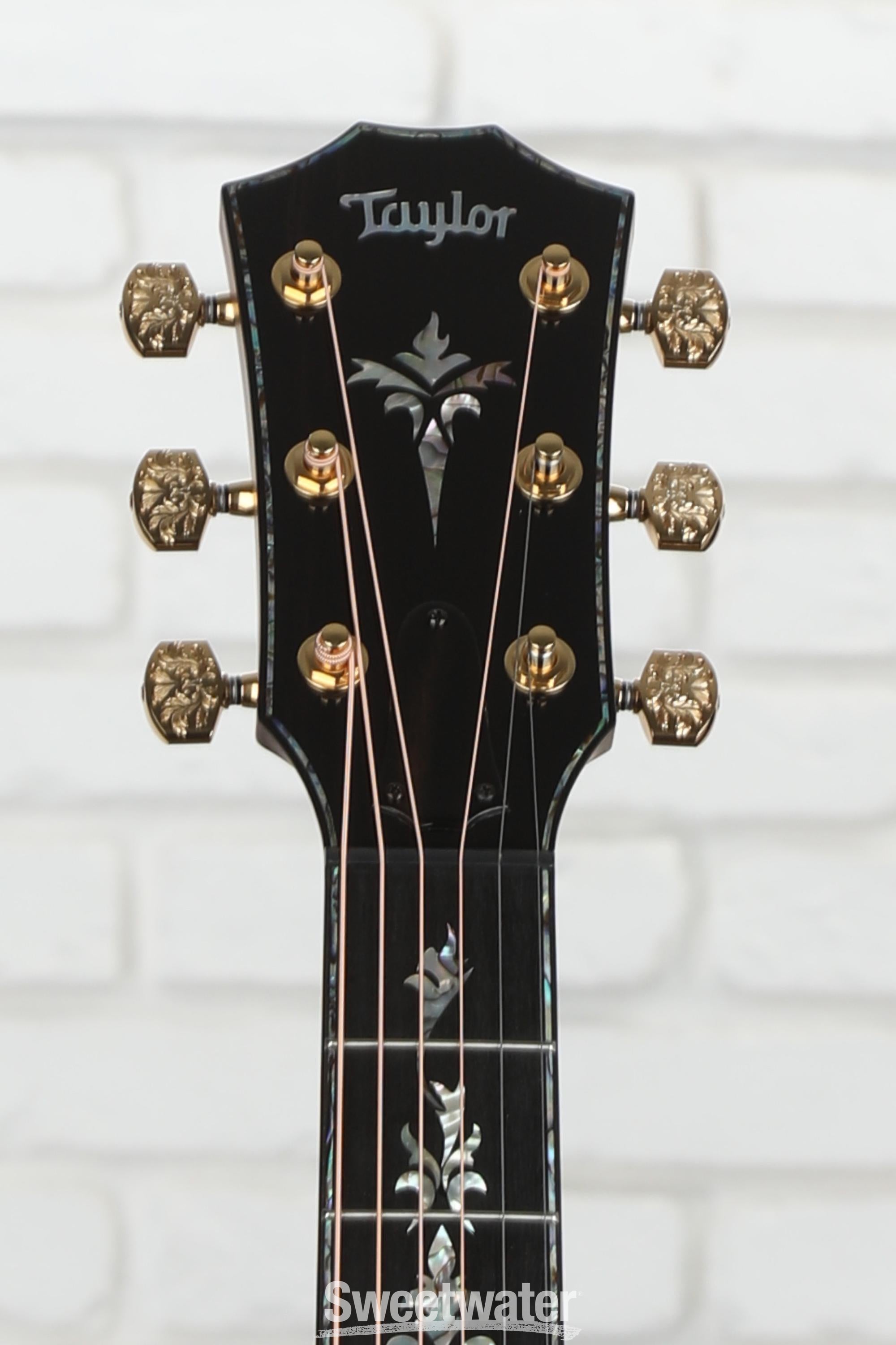 Taylor 50th Anniversary PS14ce LTD Acoustic-electric Guitar - Natural ...