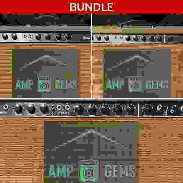 IK Multimedia TONEX Amp Gems '60s Brown Panel Bundle | Sweetwater